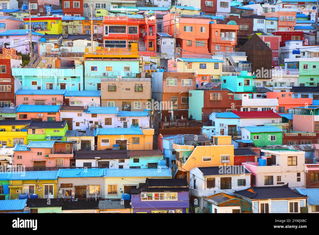 Gamcheon Culture Village colorful district in Busan, South Korea Stock ...