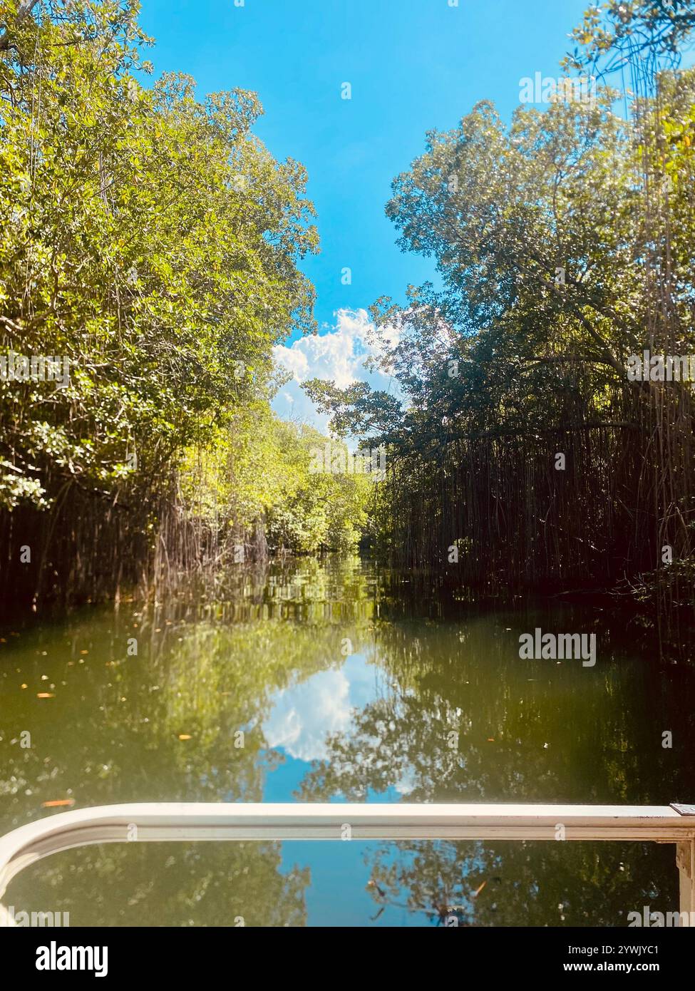Negril hi-res stock photography and images - Alamy