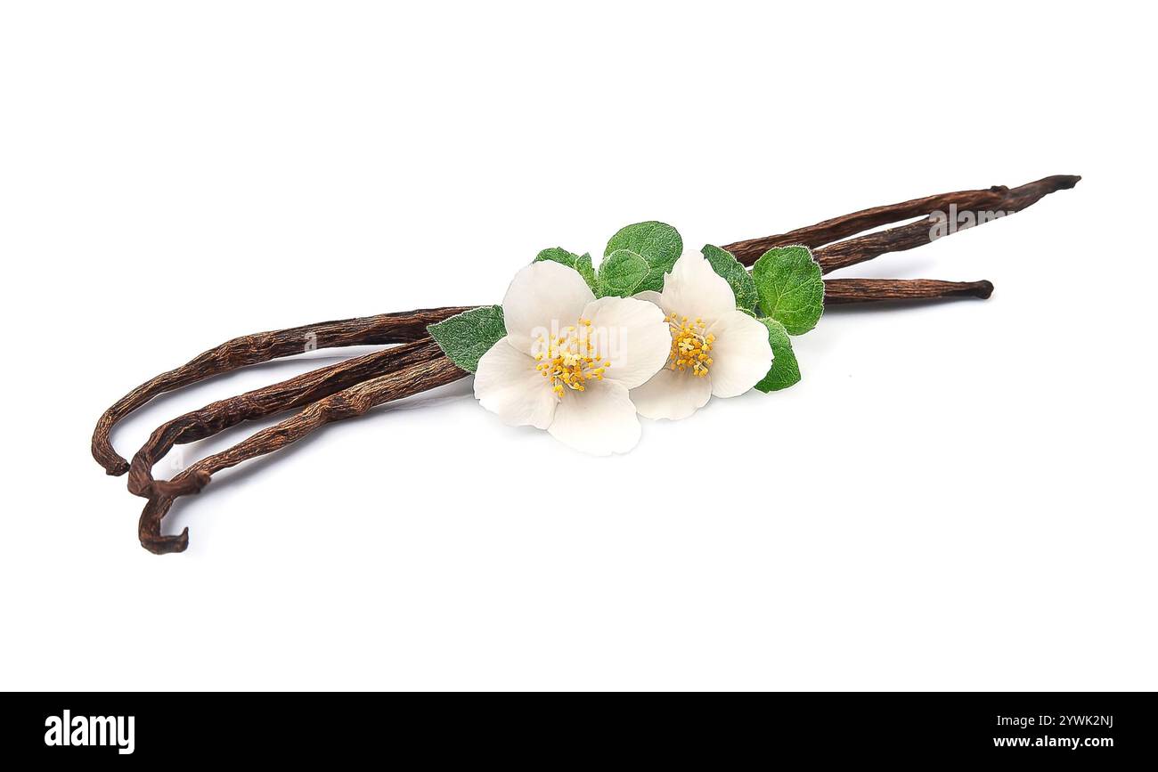 Vanilla pod spice on white backgrounds Stock Photo - Alamy