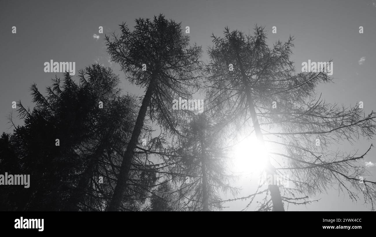 Landscape on the Great War trails (Sentieri della Grande Guerra) on ...