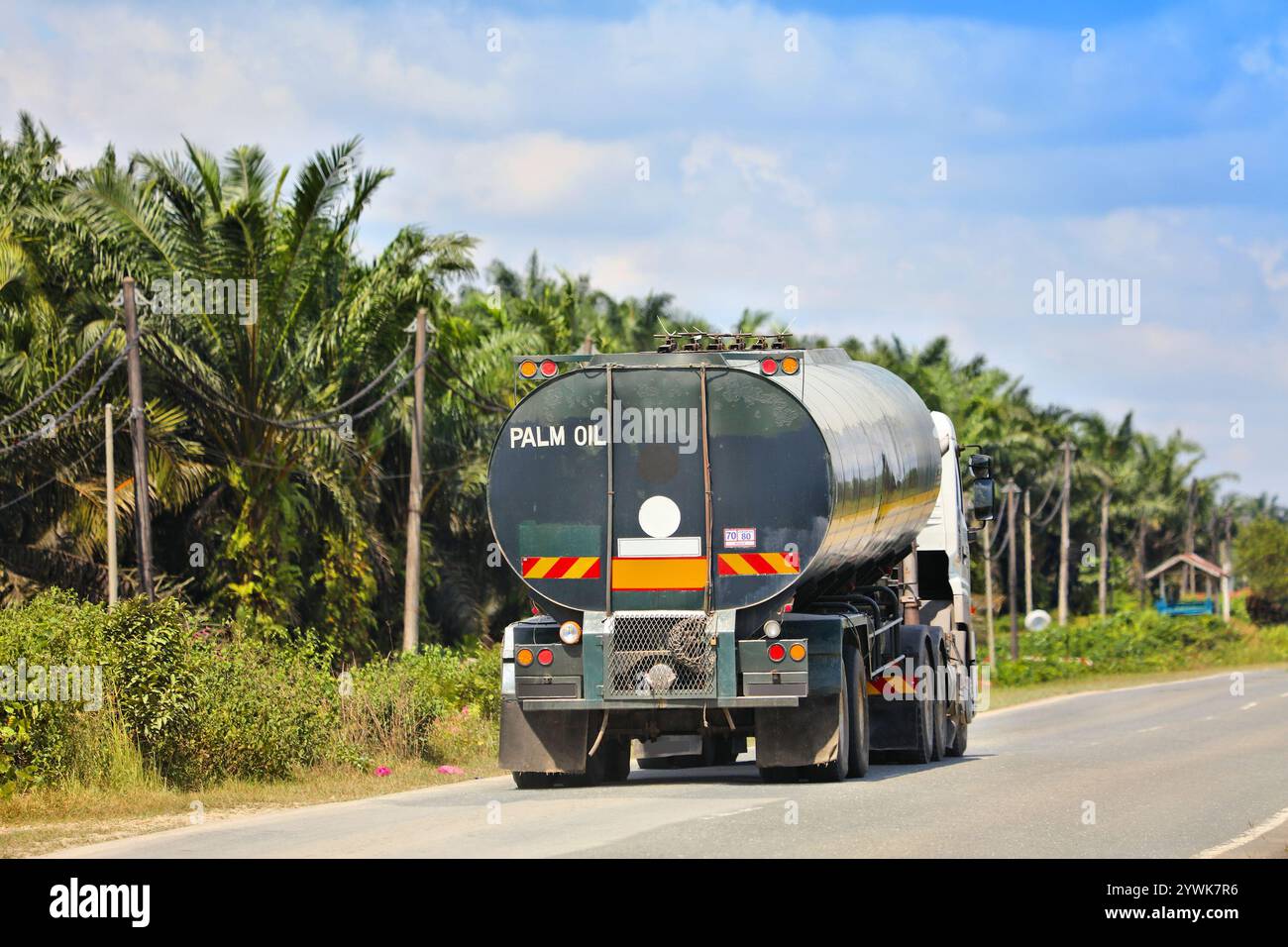 Palm oil carrying tanker truck going by oil palm plantation ...