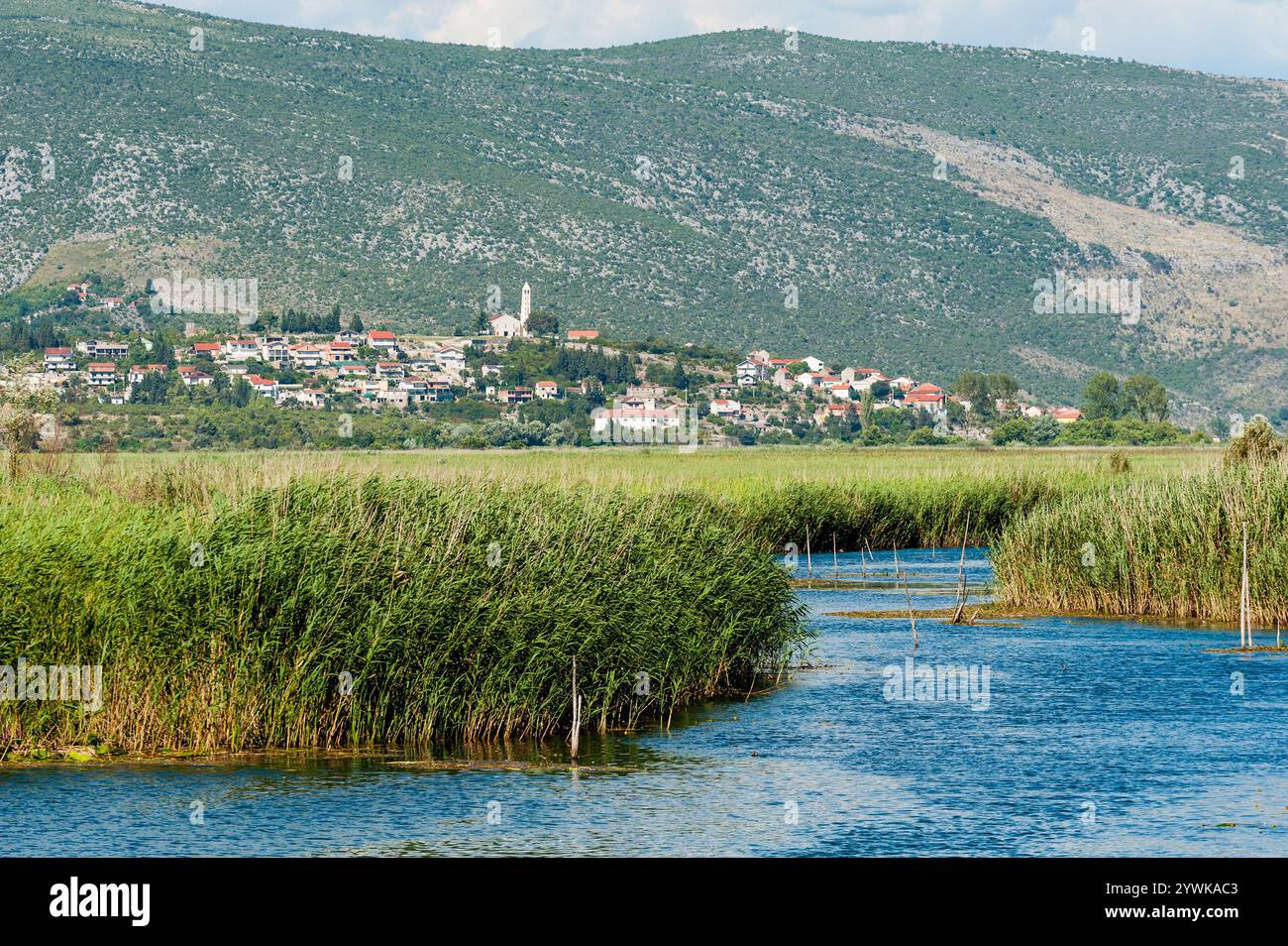 Small village in the distance with the creek and marsh in front Stock ...