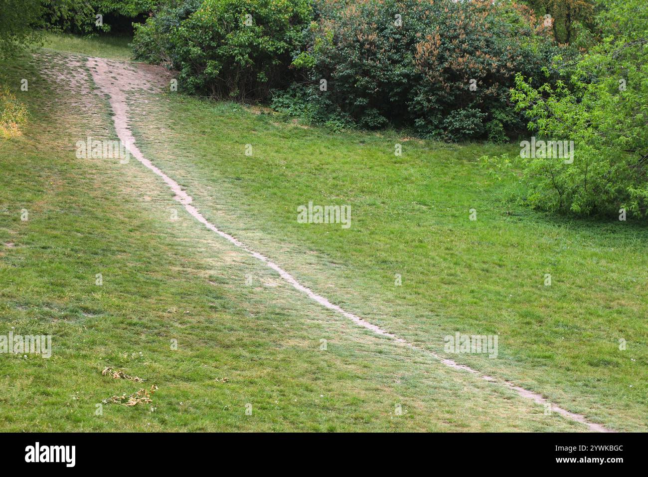 Desire path or desire line. Path created by pedestrian traffic ...