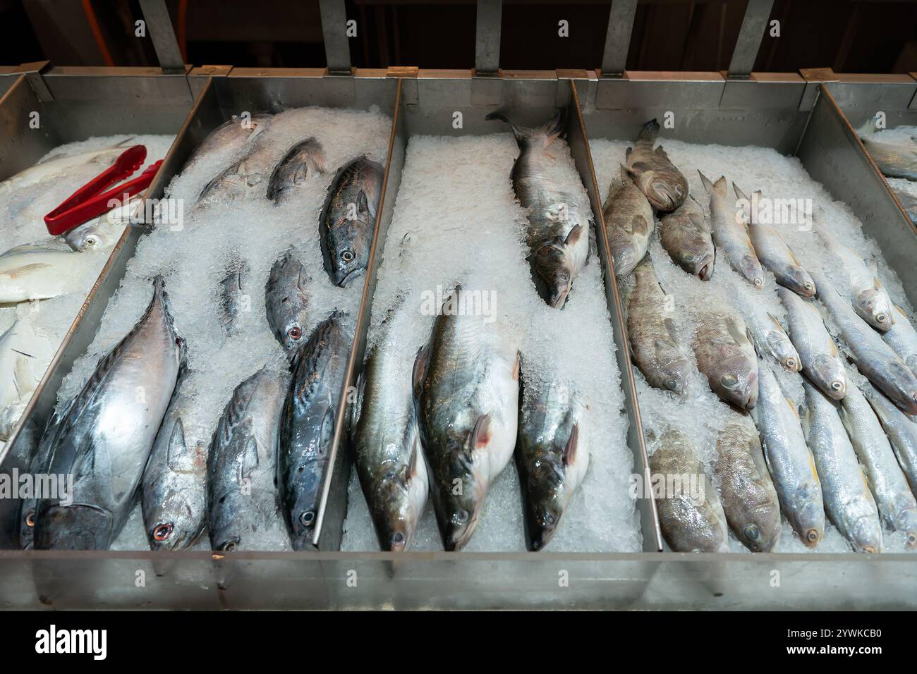 KUALA LUMPUR, MALAYSIA - DECEMBER 01, 2023: chilled fish on display ...