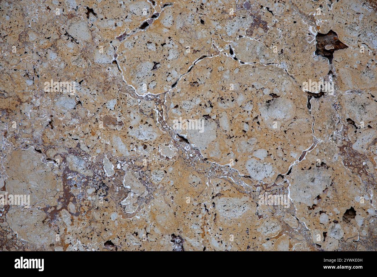 Random, Unique, Natural Cannstatter Travertine Texture - Freshwater ...