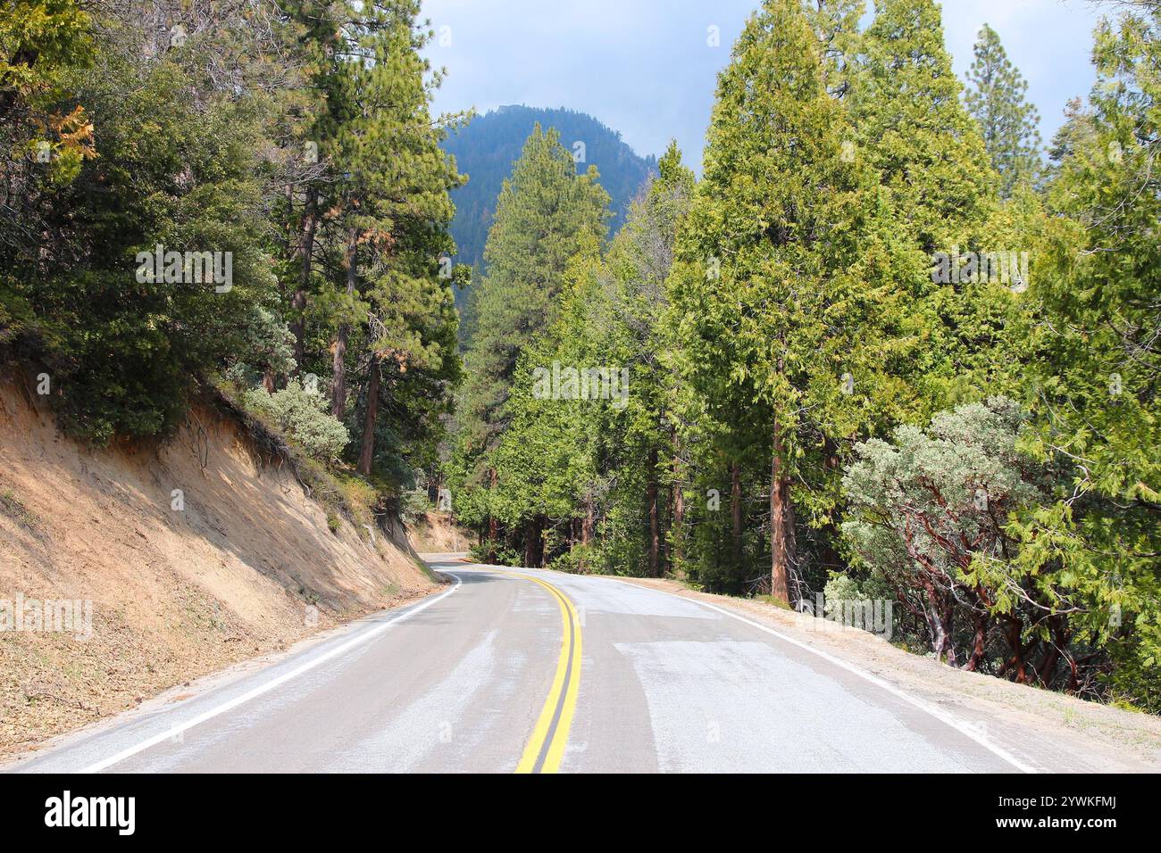 Winding road sequoia national hi-res stock photography and images - Alamy
