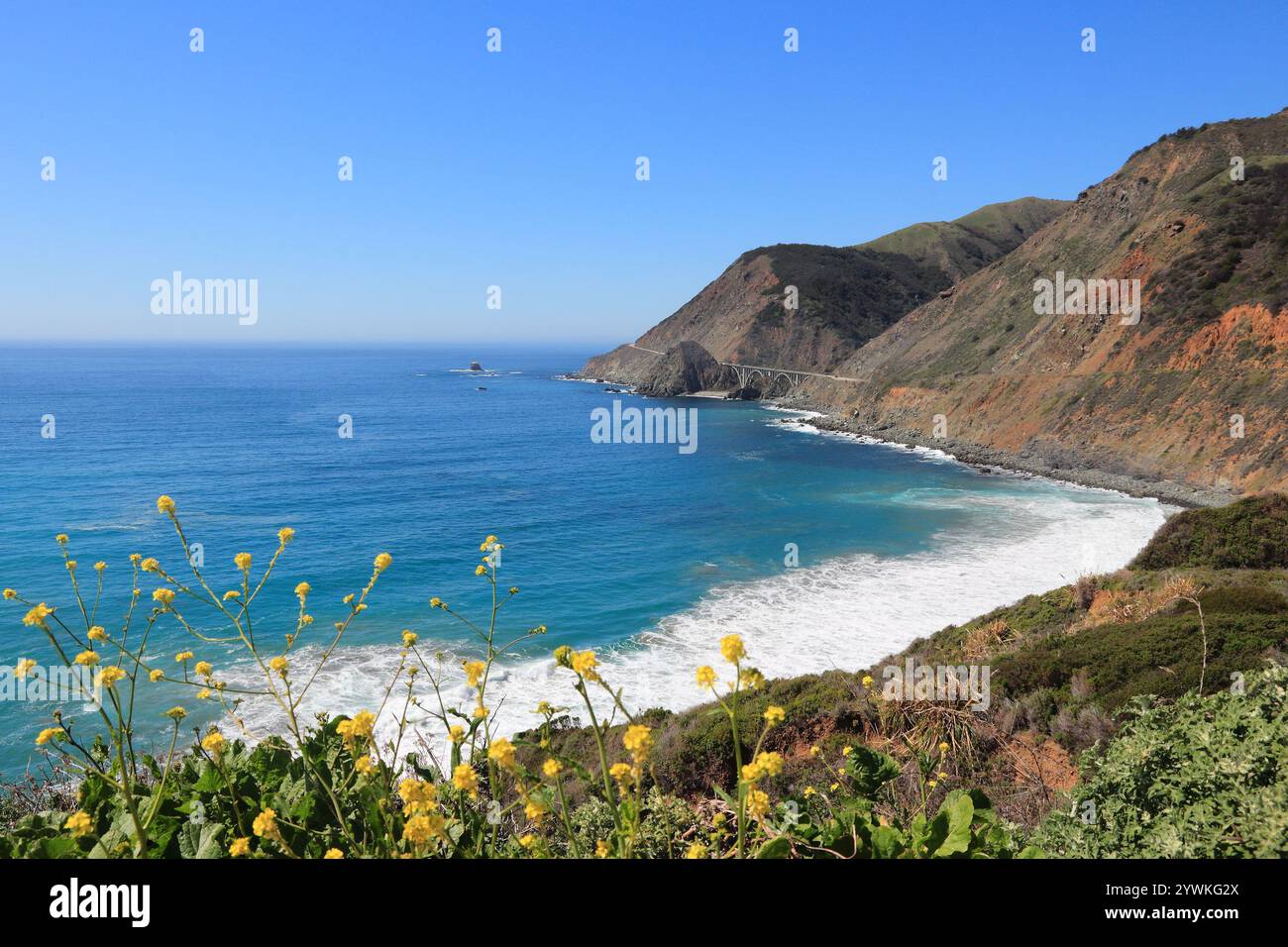 Bixby Creek Bridge. California, USA. Yellow flowers of roadside ...