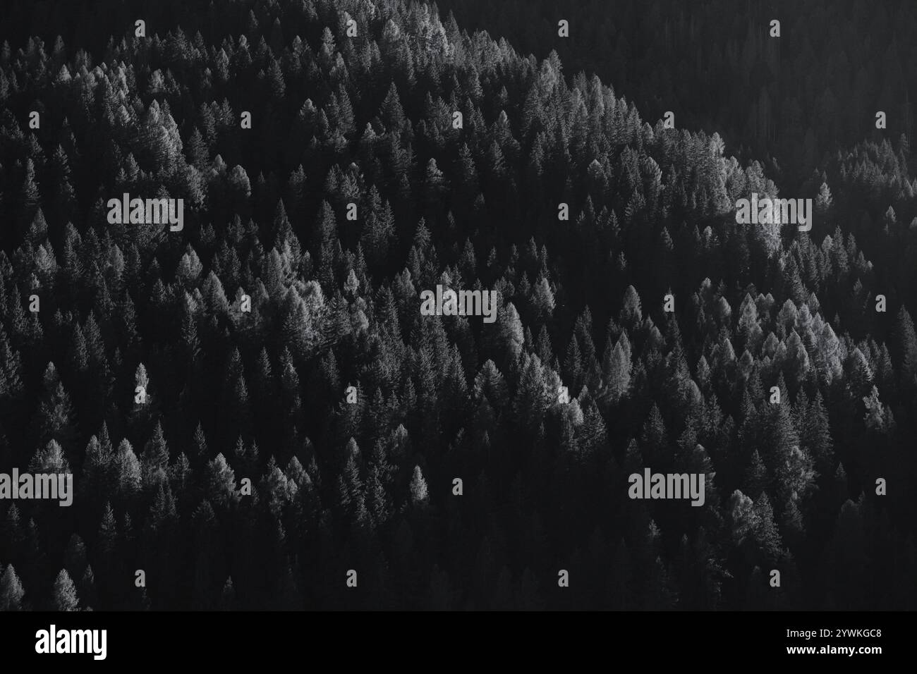 Nature landscape, view from Zoppe di Cadore commune at the foot of the ...