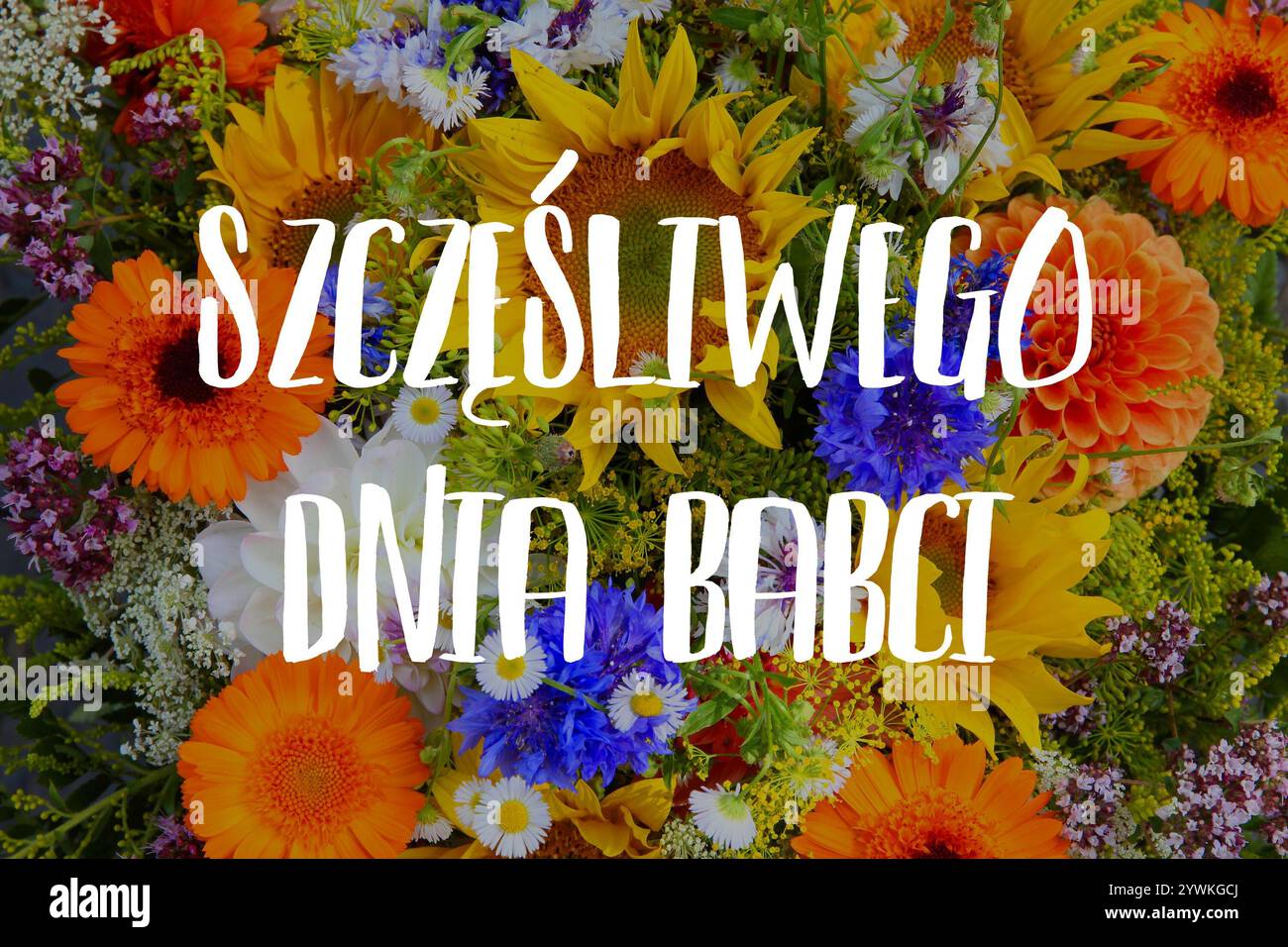 Happy Grandmother's Day Polish language greeting card. Szczesliwego ...