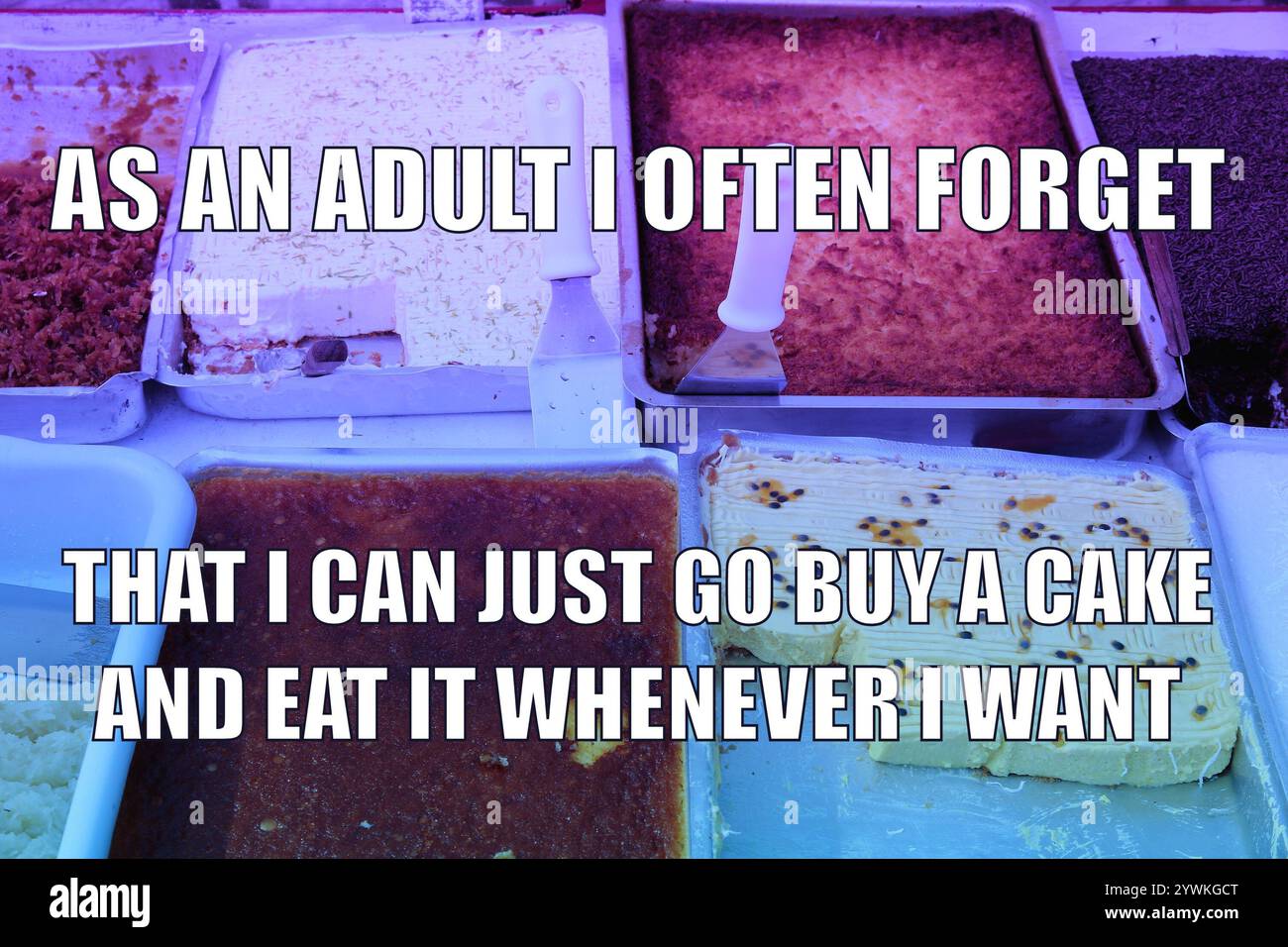 Cake funny meme for social media sharing. Humor about being adult Stock ...