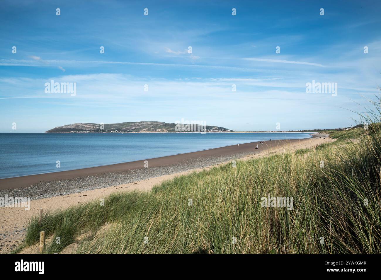 View towards Great Ormes head from Conwy Morfa beach and sand dunes on ...