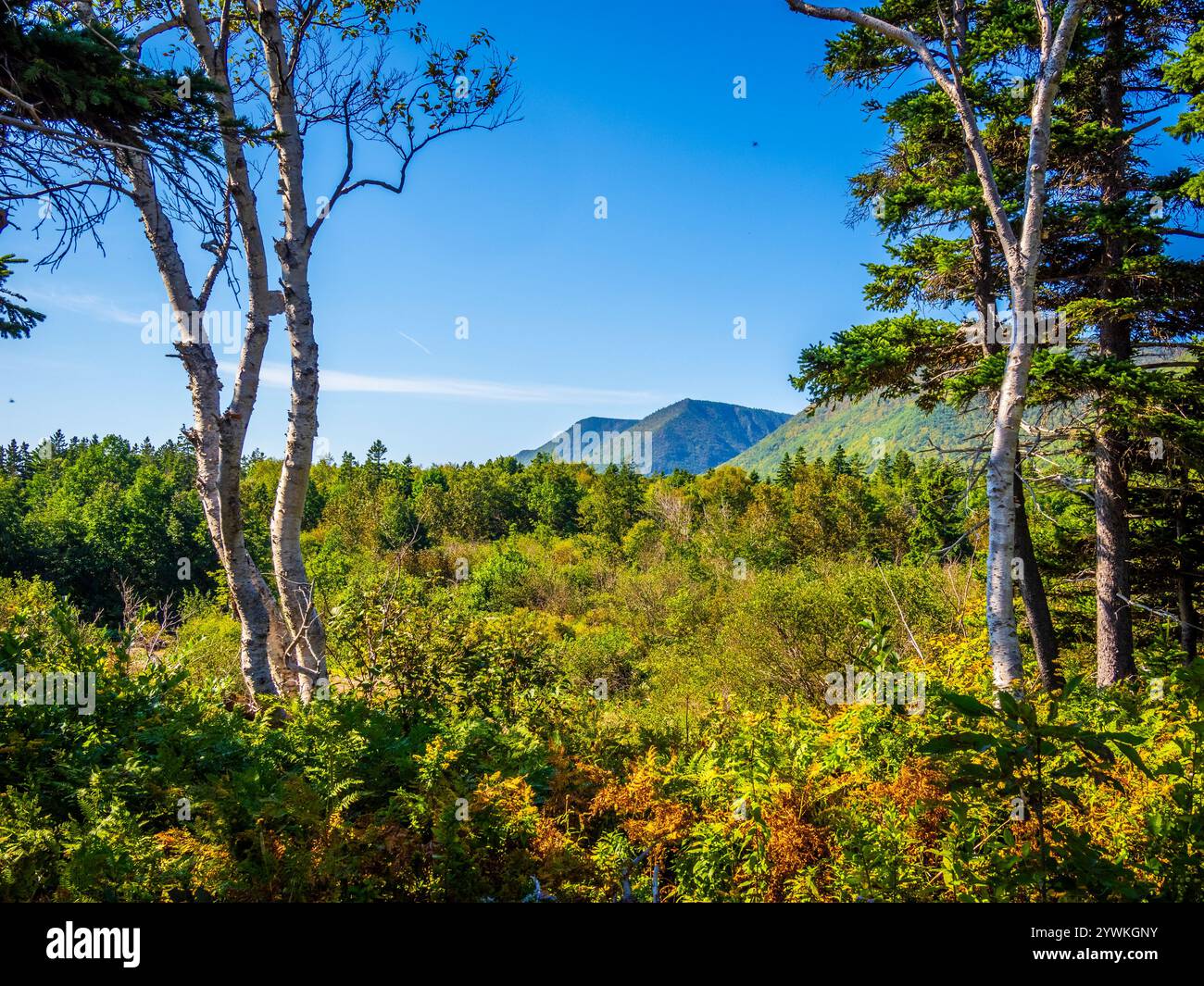 Fall scenery in Victoria County on Cape Breton Island in Nova Scotia ...