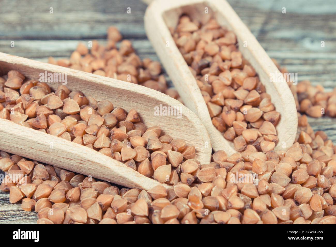 Healthy buckwheat as source natural vitamins, minerals and dietary ...