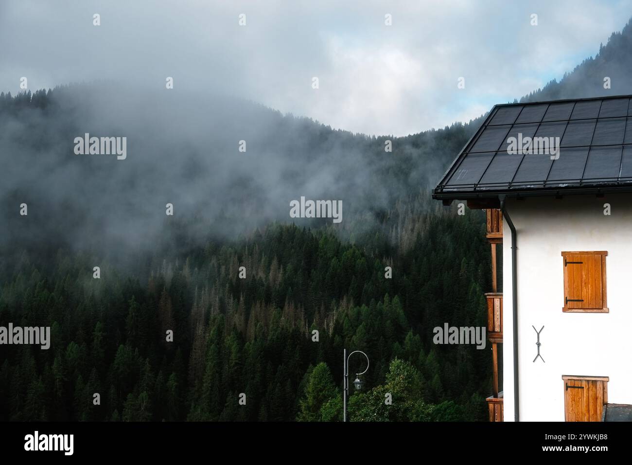 Landscape with pine trees and building facade in Zoppe di Cadore ...