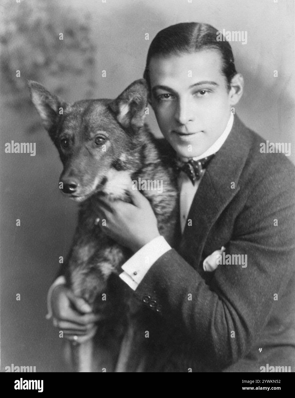 Legendary Silent Film Actor RUDOLPH VALENTINO with his beloved Alsatian ...