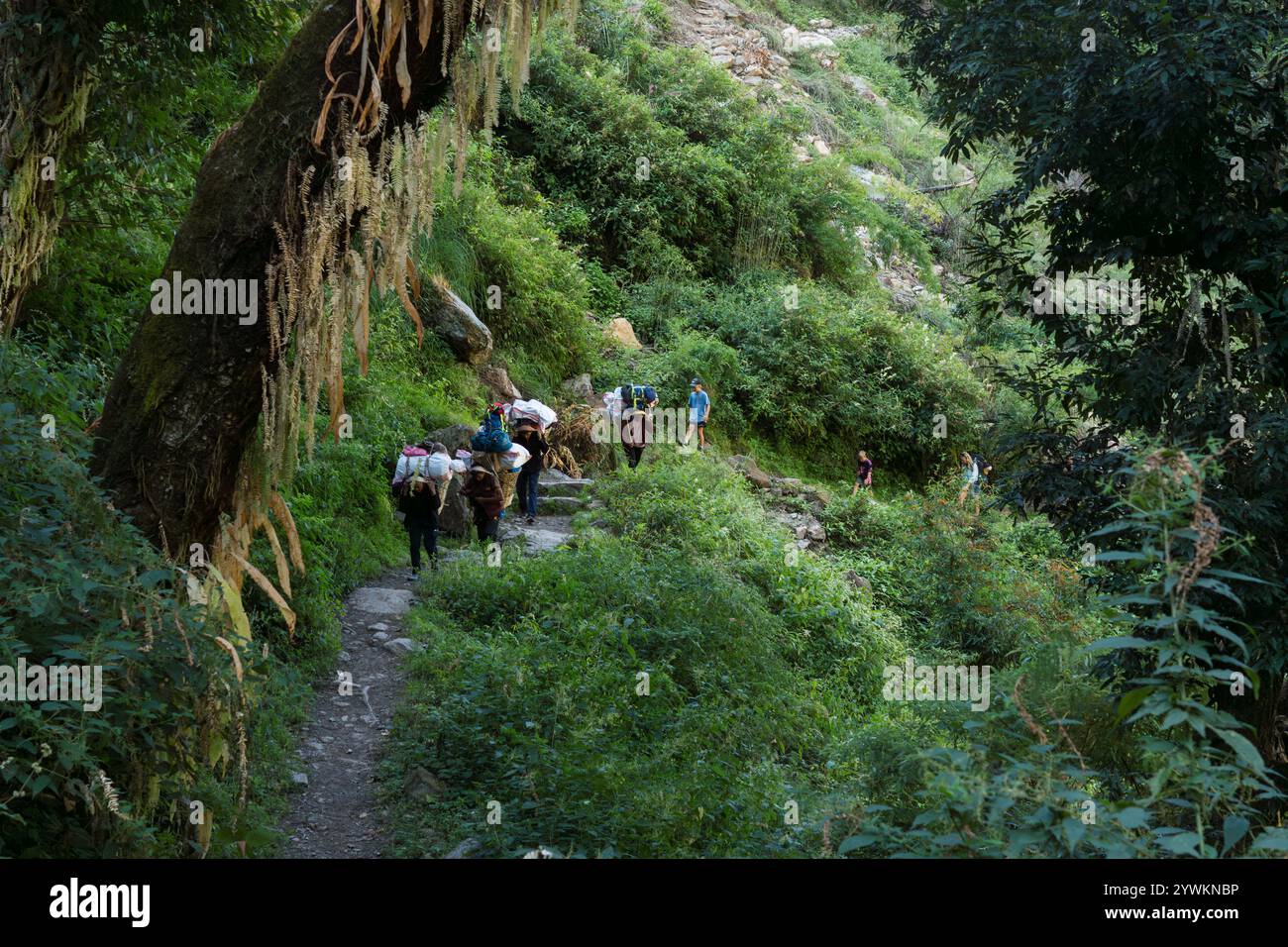 Langtang Valley, Rasuwa, Nepal - October 14, 2024 : Trekkers Hiking The Trail of Langtang ...