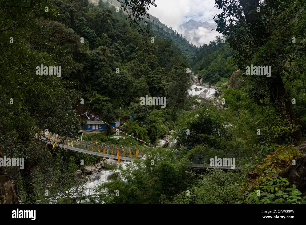 Langtang Valley, Rasuwa, Nepal - October 14, 2024 : Bamboo Village on the banks of Langtang ...