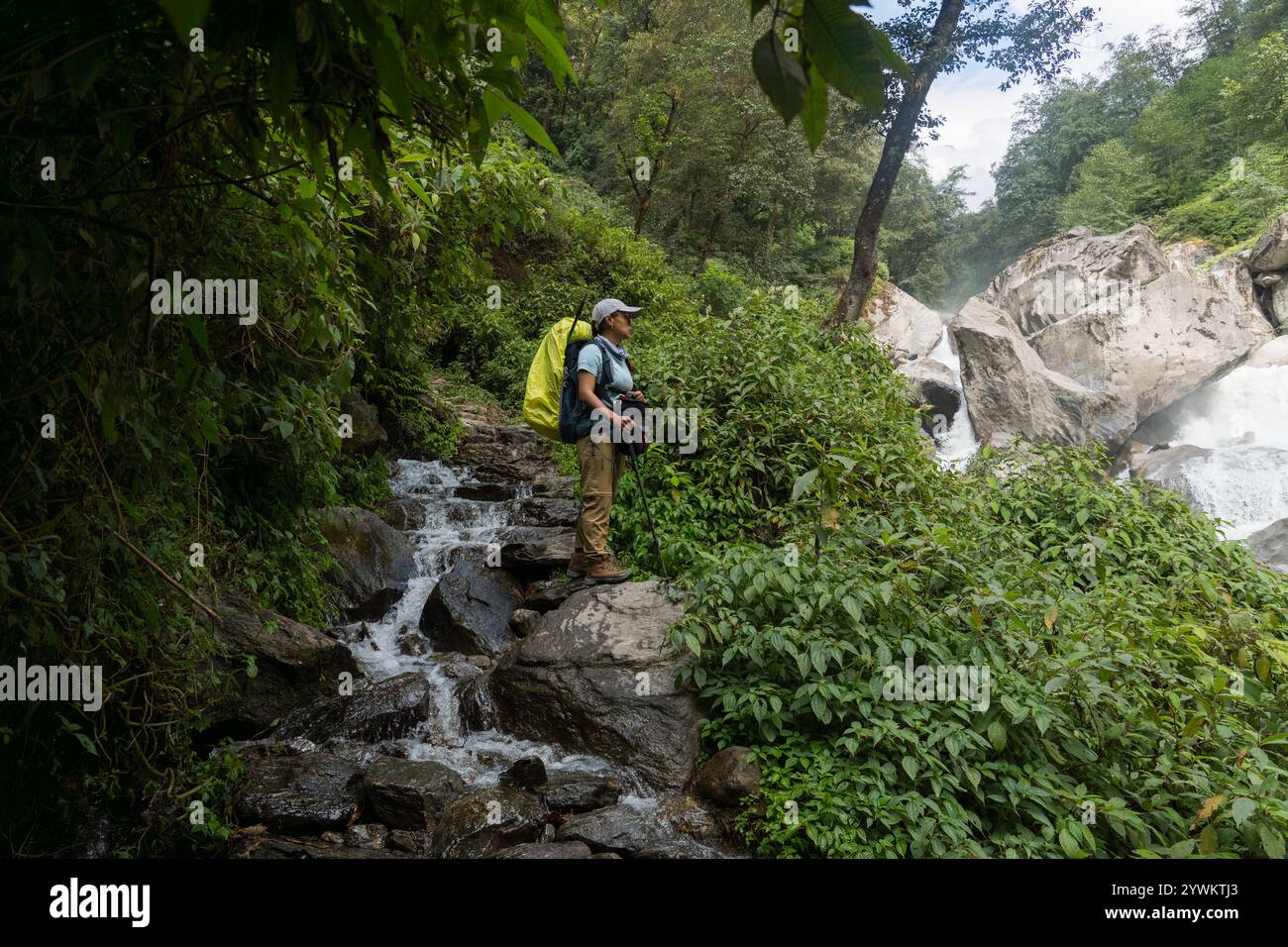 Langtang Valley, Rasuwa, Nepal - October 14, 2024 : Trekkers Hiking The Trail of Langtang ...