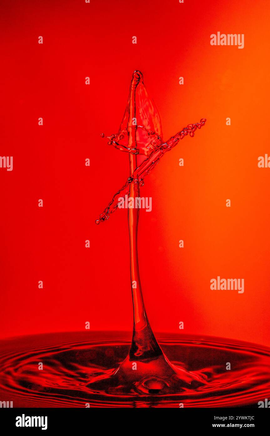 Symbolic natural patterns impressive hi-res stock photography and ...