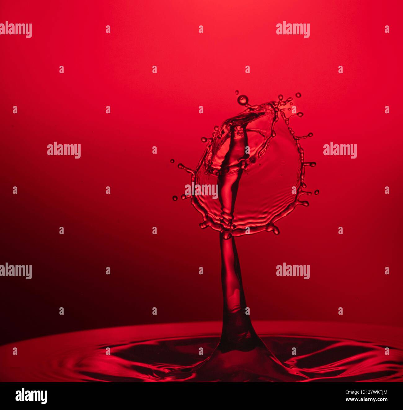 Arresting ethereal colour infused imaginative water collision macro ...