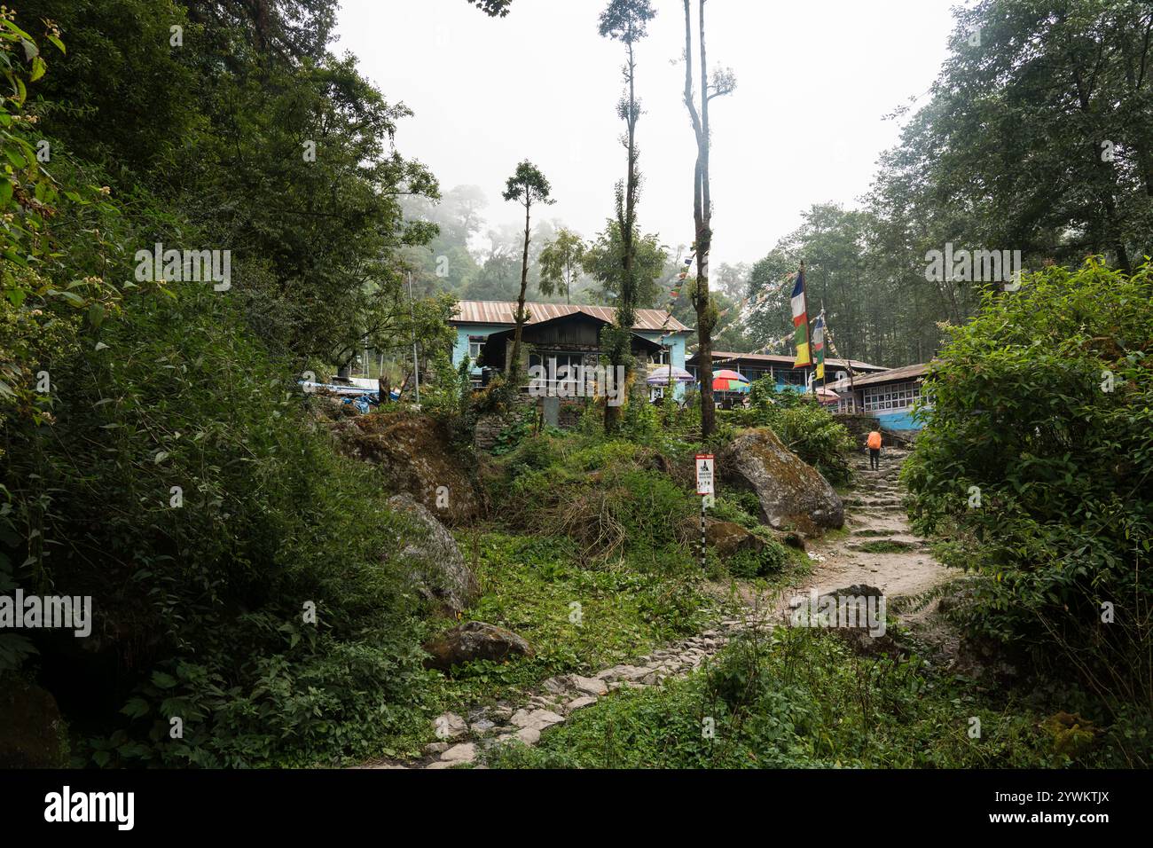 Langtang Valley, Rasuwa, Nepal - October 14, 2024 : Tea Houses of Lama Hotel a stop in Langtang ...