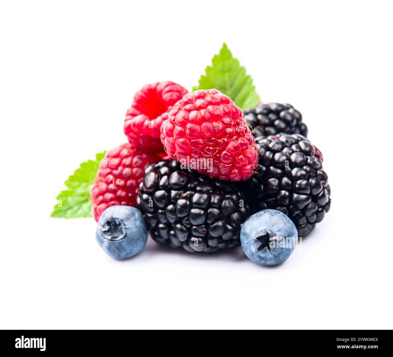 Sweet berries on white backgrounds. Raspberry,blackberry and ...
