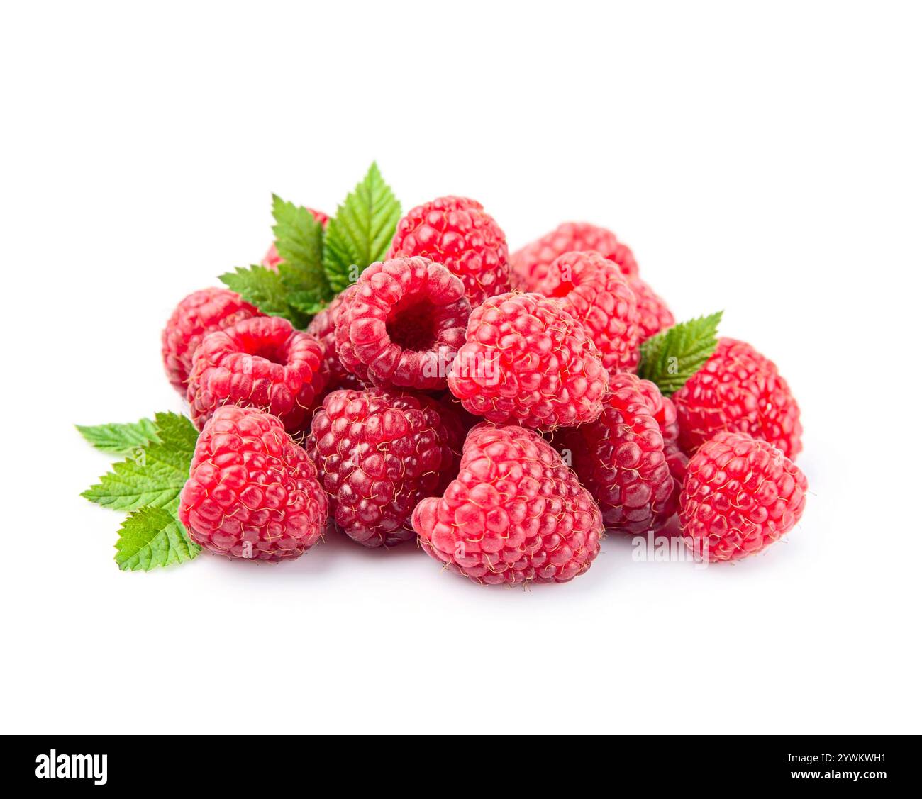 Macro photo raspberry berry hi-res stock photography and images - Alamy