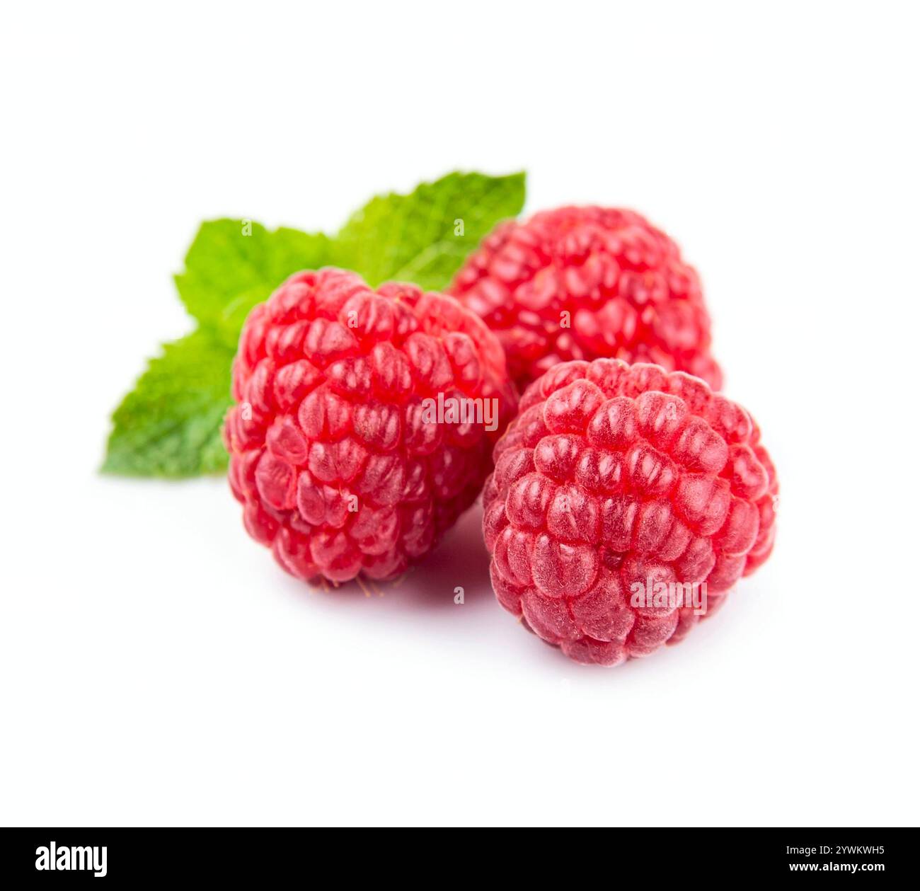 Raspberry with leaves Stock Photo - Alamy