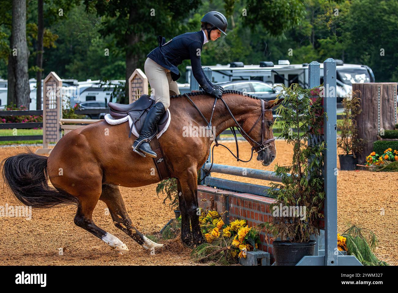 Reject refusal hi-res stock photography and images - Alamy