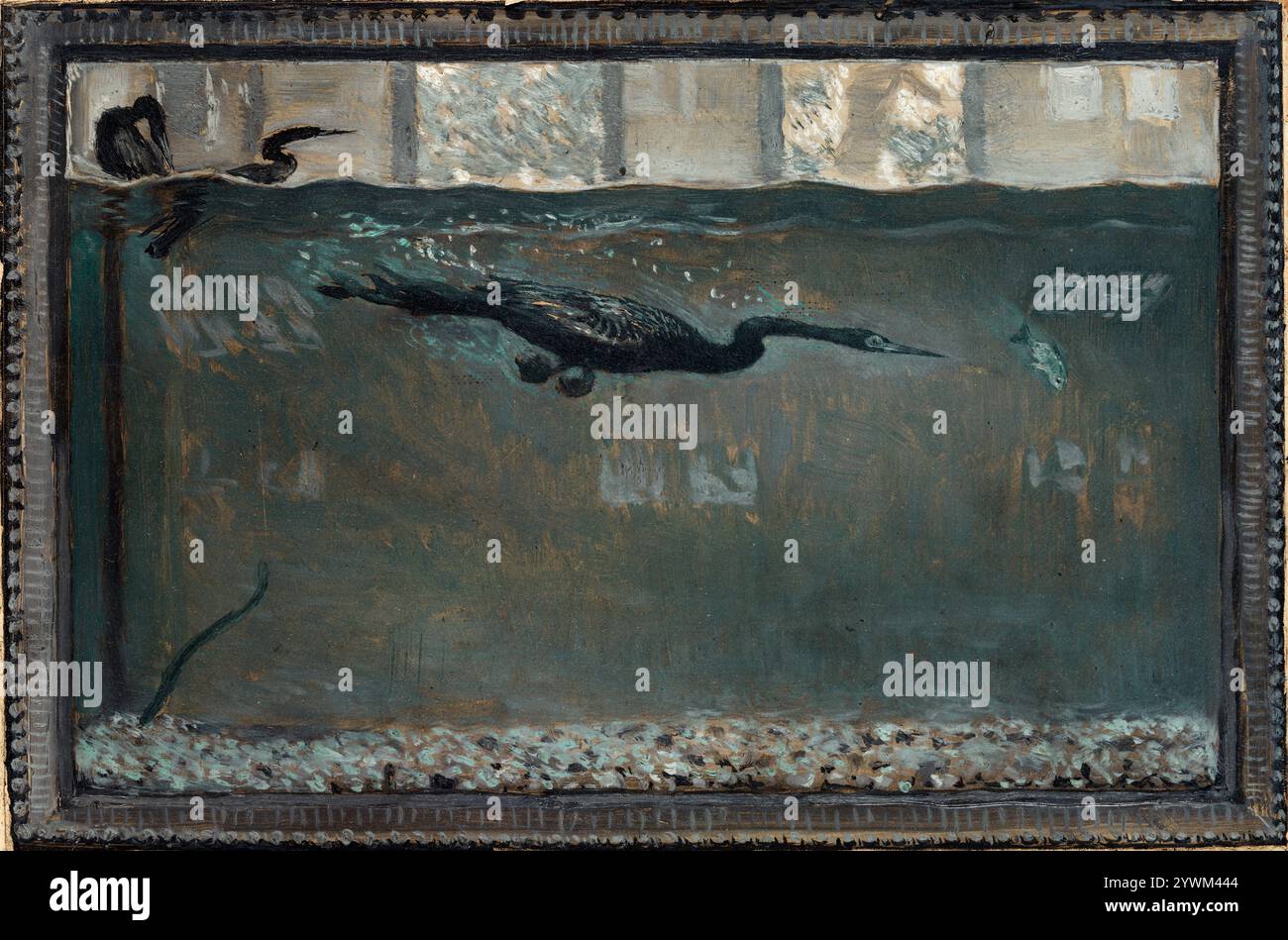 Diving Cormorant. Otto H. Bacher. 1900 Stock Photo - Alamy
