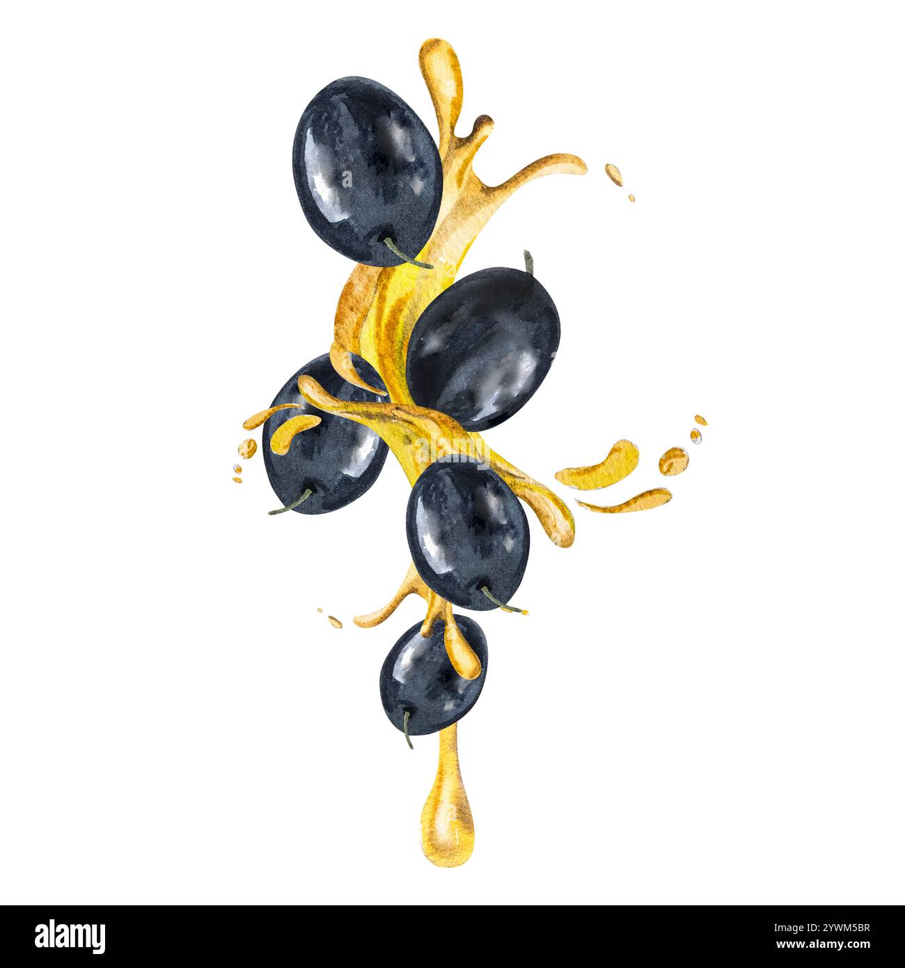 Olive fruits and olive leaves in drops of olive oil. Olive oil drops ...