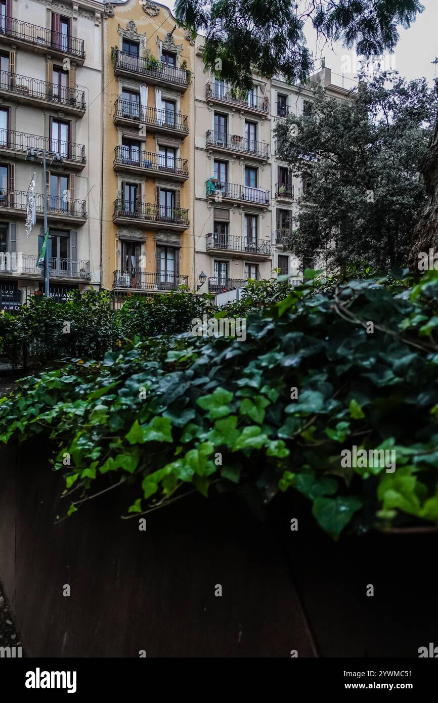 Typical Residential Building in the Gothic Quarter (Barri Gòtic ...