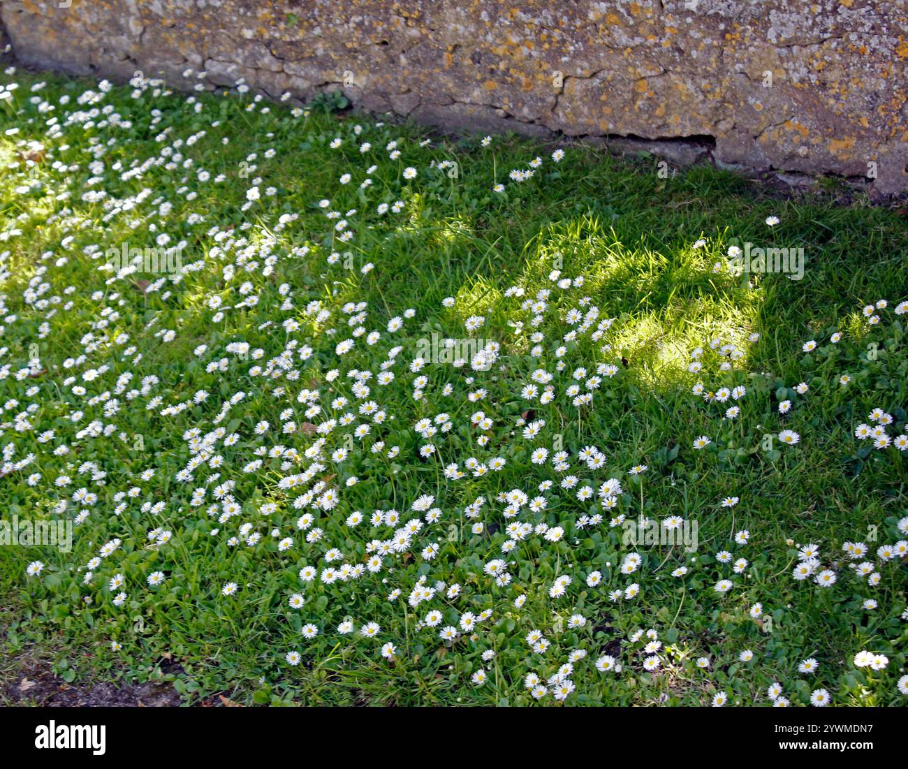 Turves village hi-res stock photography and images - Alamy