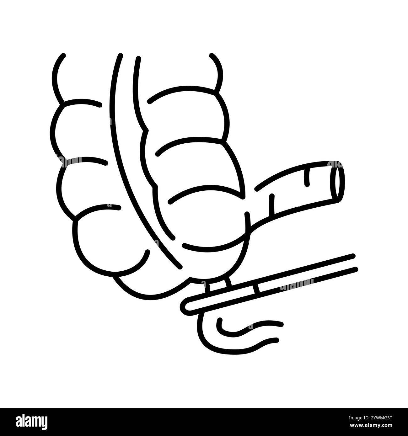 Appendectomy line black icon. Sign for web page, mobile app, button ...