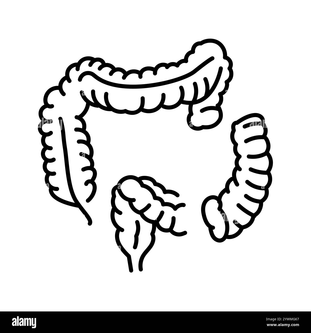 Colectomy line black icon. Sign for web page, mobile app, button, logo ...