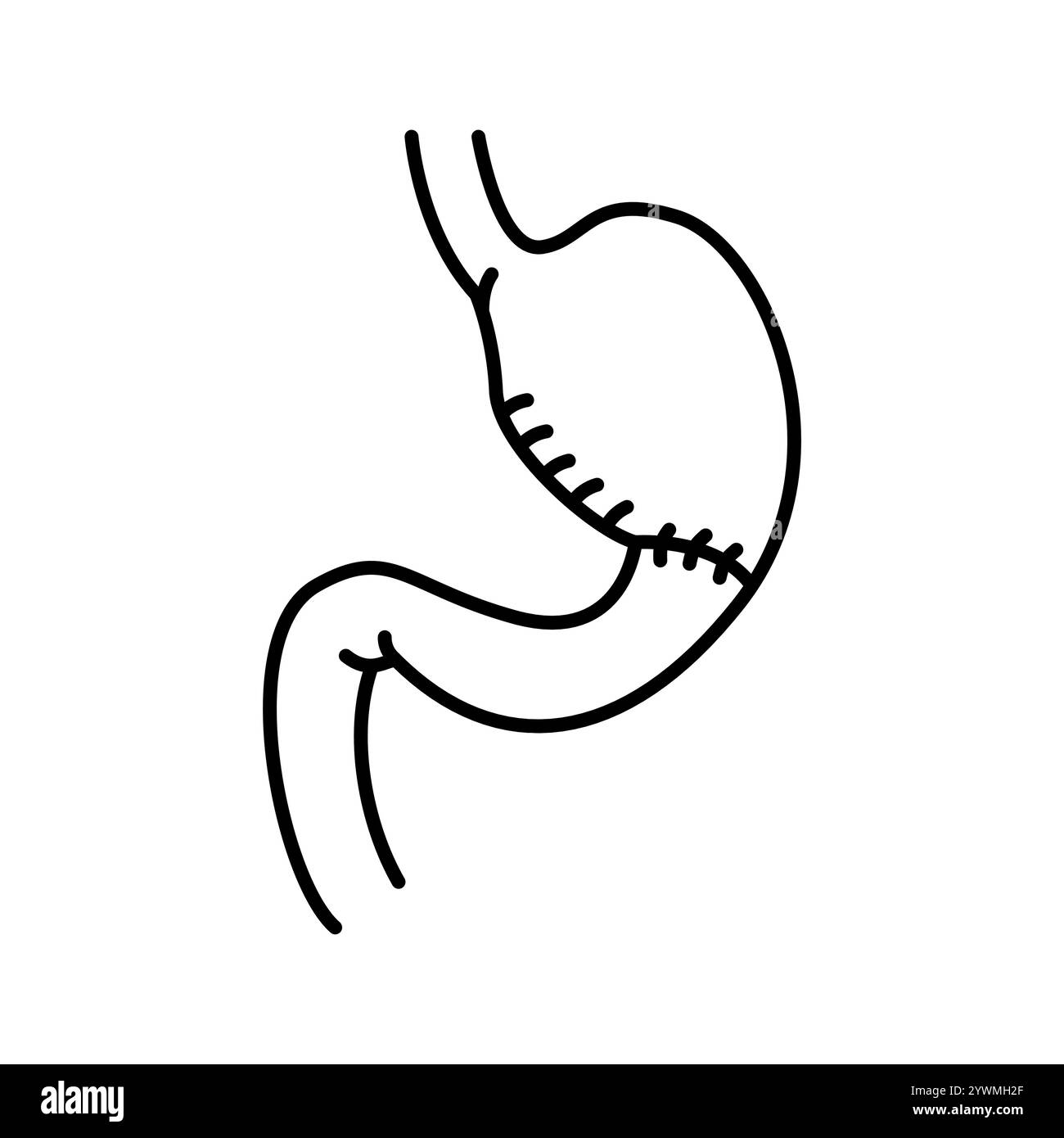 Gastroduodenostomy line black icon. Sign for web page, mobile app ...