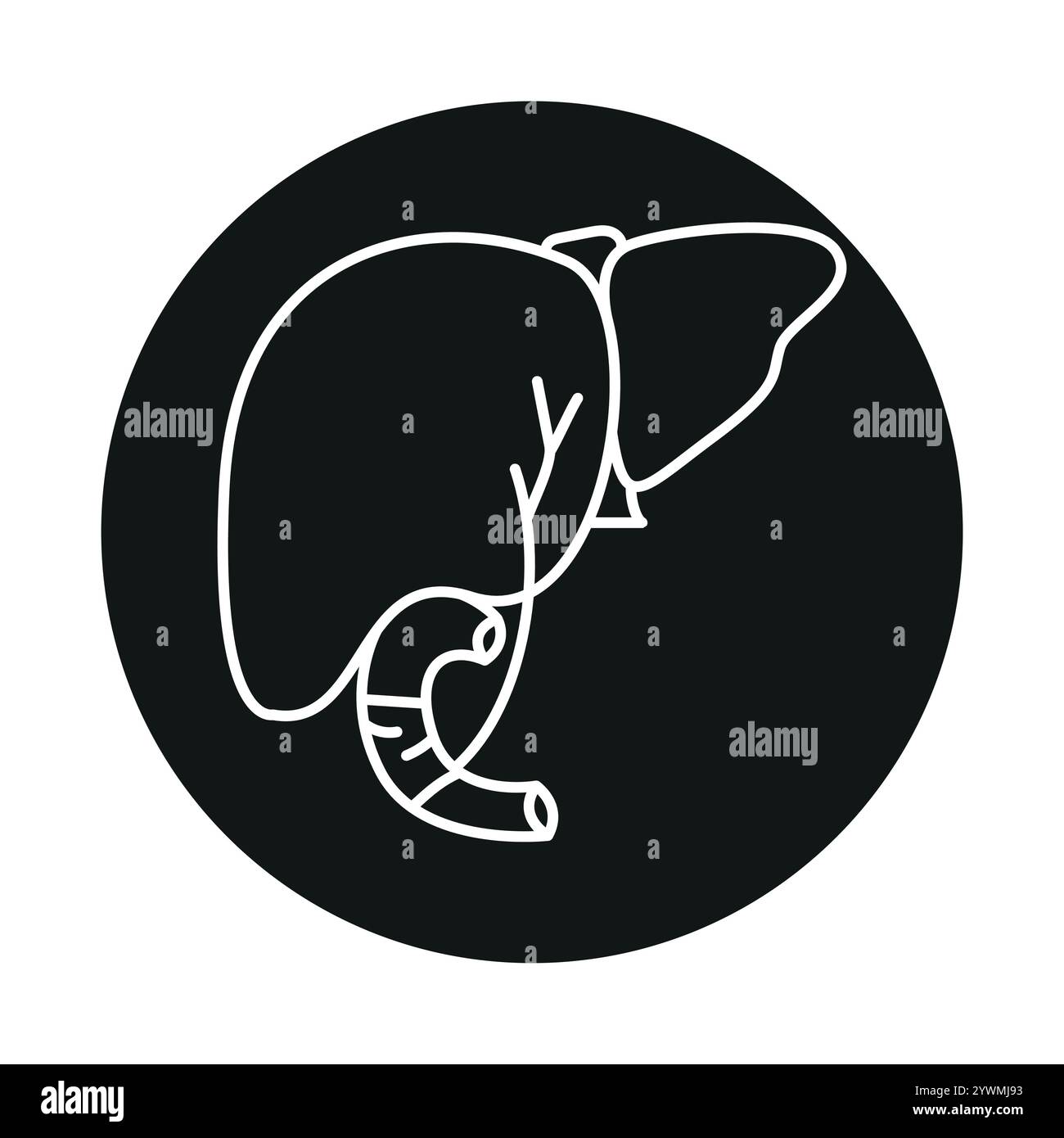 Cholecystectomy line black icon. Sign for web page, mobile app, button ...