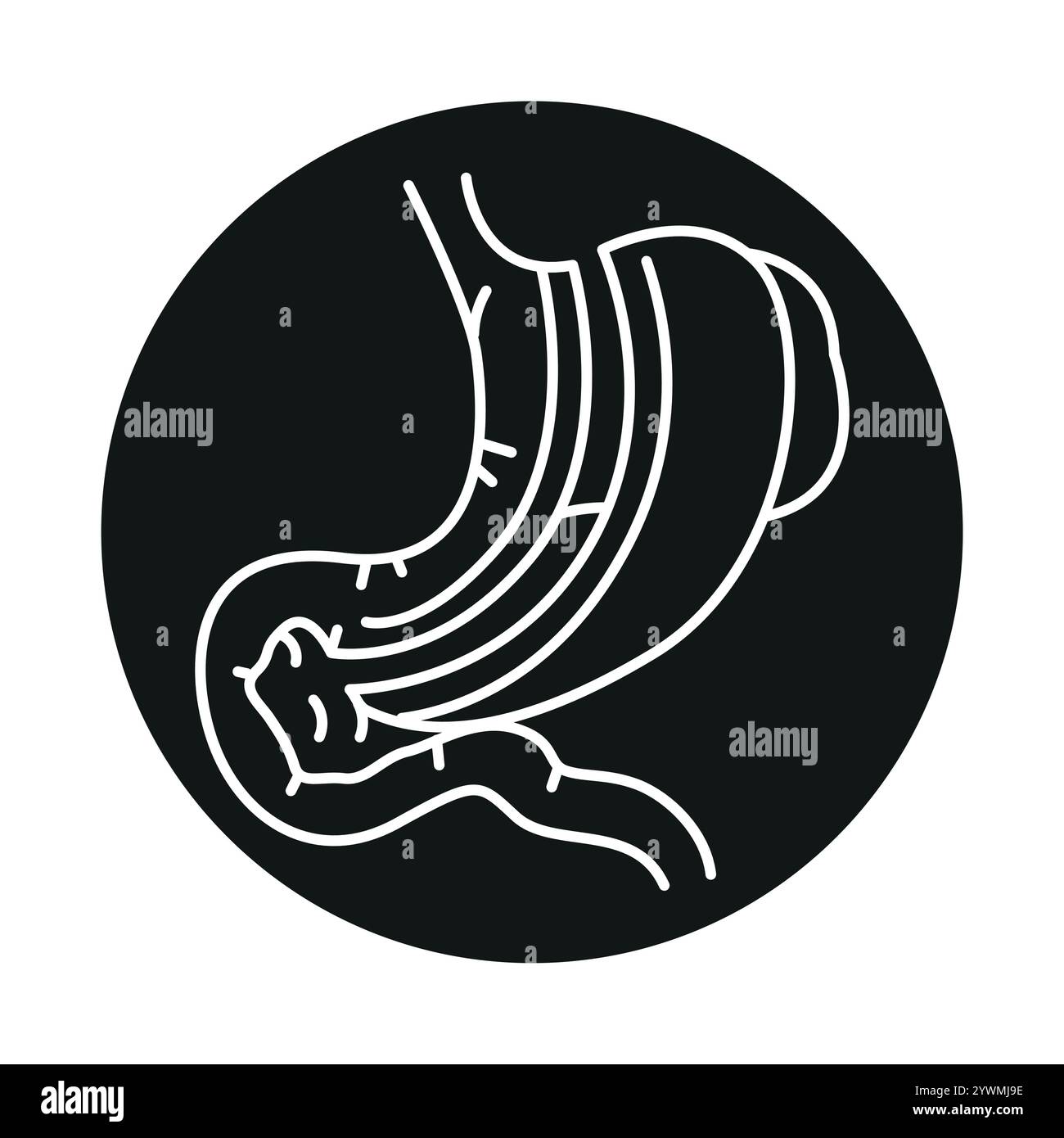 Gastrectomy line black icon. Sign for web page, mobile app, button ...