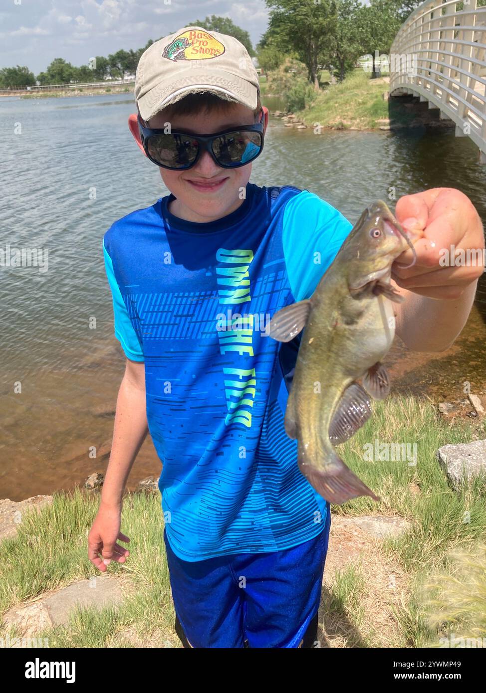 Black Bullhead (Ameiurus melas Stock Photo - Alamy