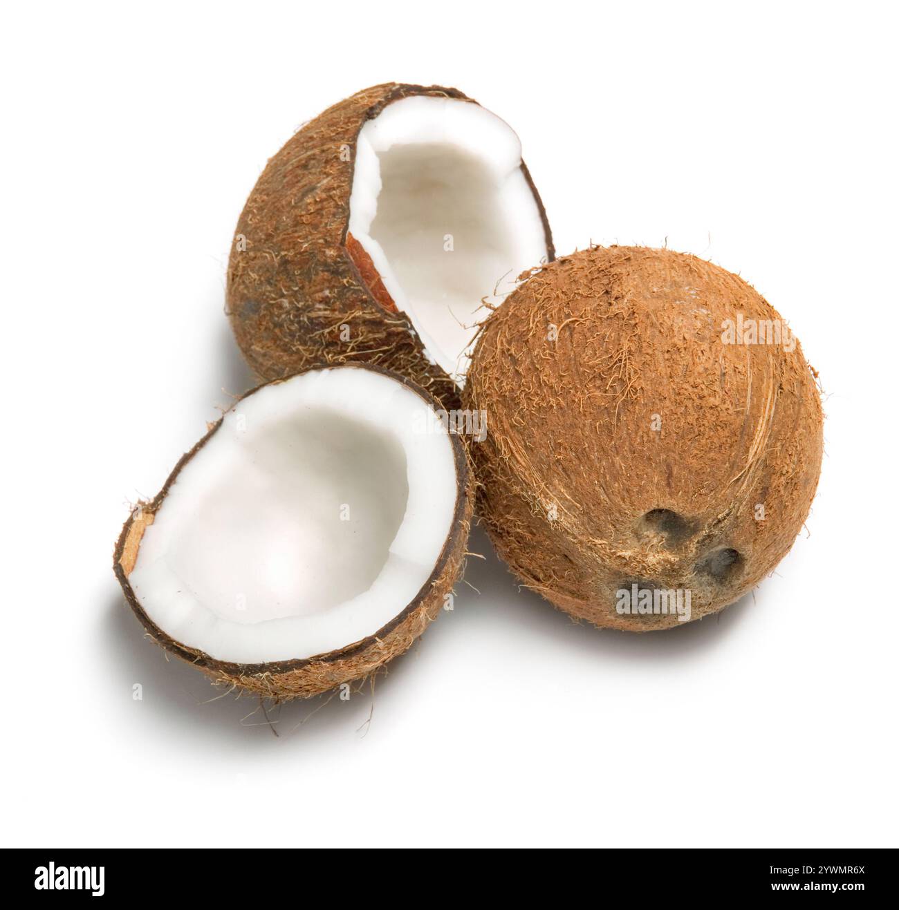 Delicious coconuts, isolated on white background Stock Photo - Alamy