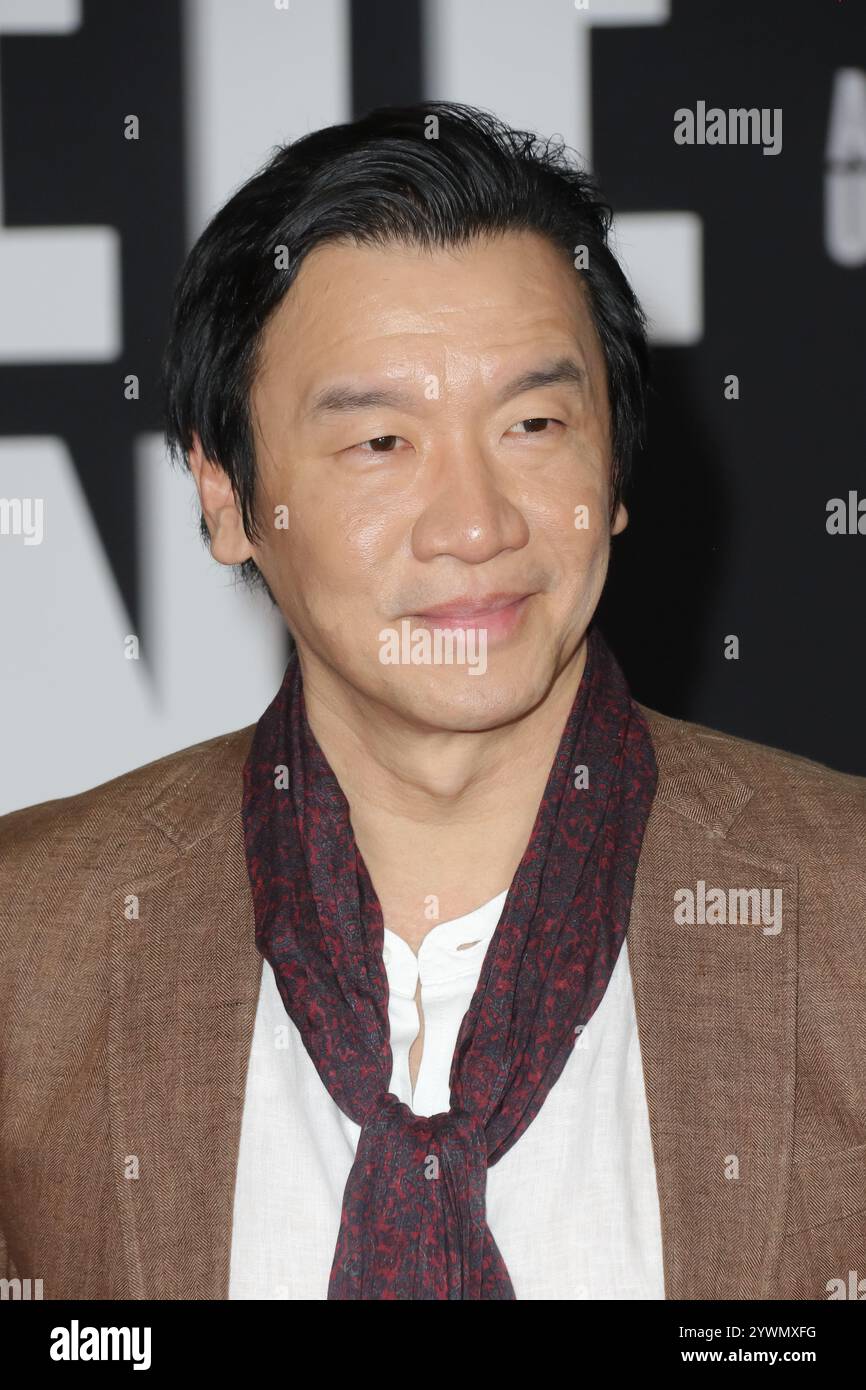 Los Angeles, USA. 10th Dec, 2024. Chin Han at "A Complete Unknown ...