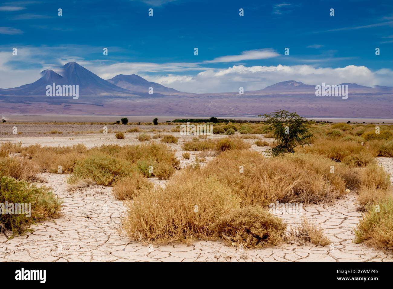 Salt flats and volcano mountains on altiplano high altitude plains in ...
