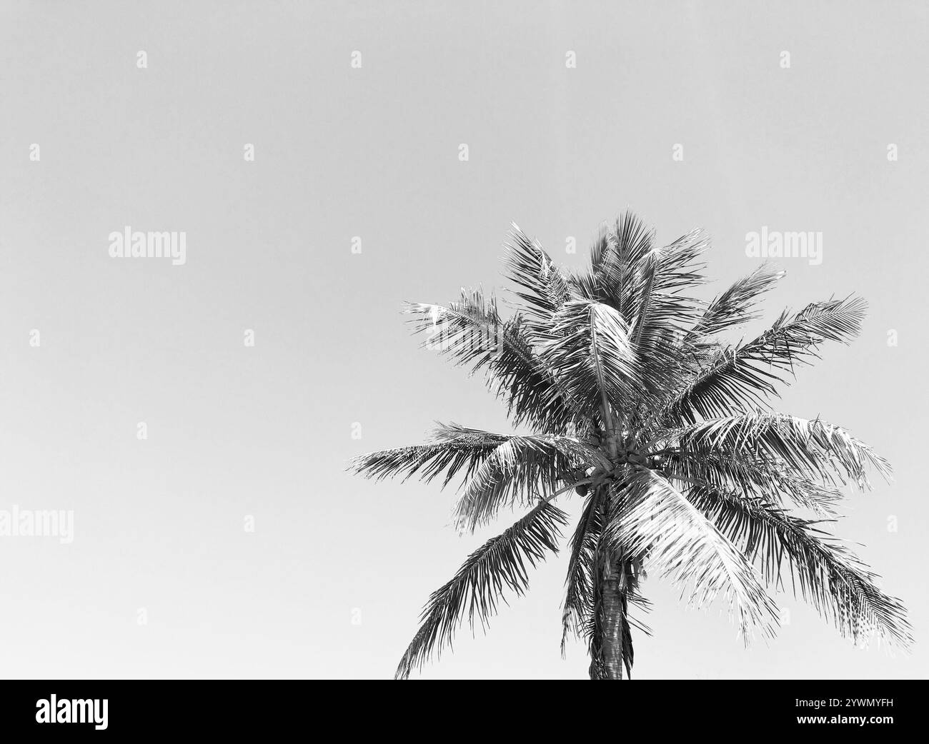 Blue visual art Black and White Stock Photos & Images - Alamy