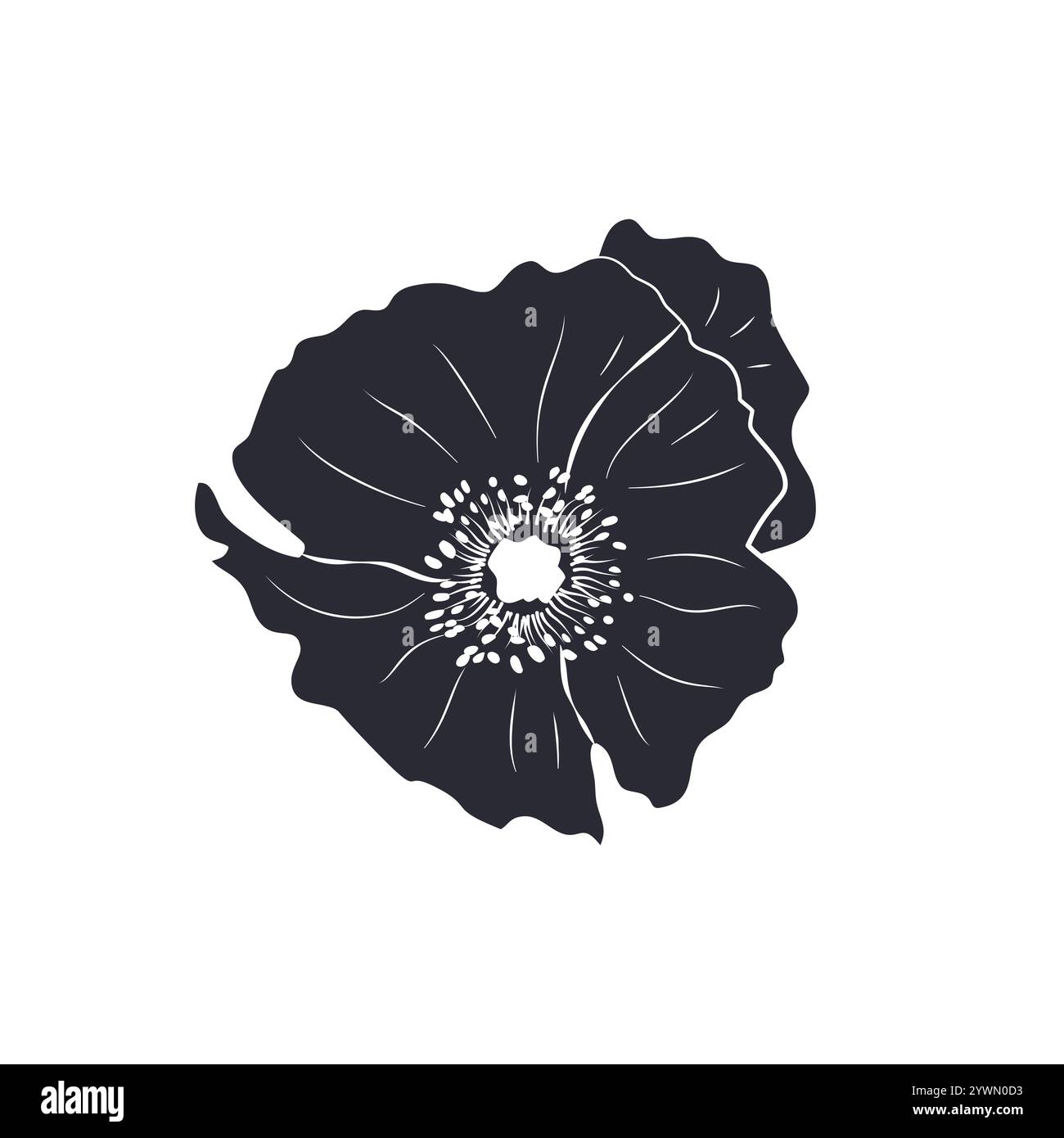 Black silhouette of poppy wild flower isolated on white Stock Vector ...