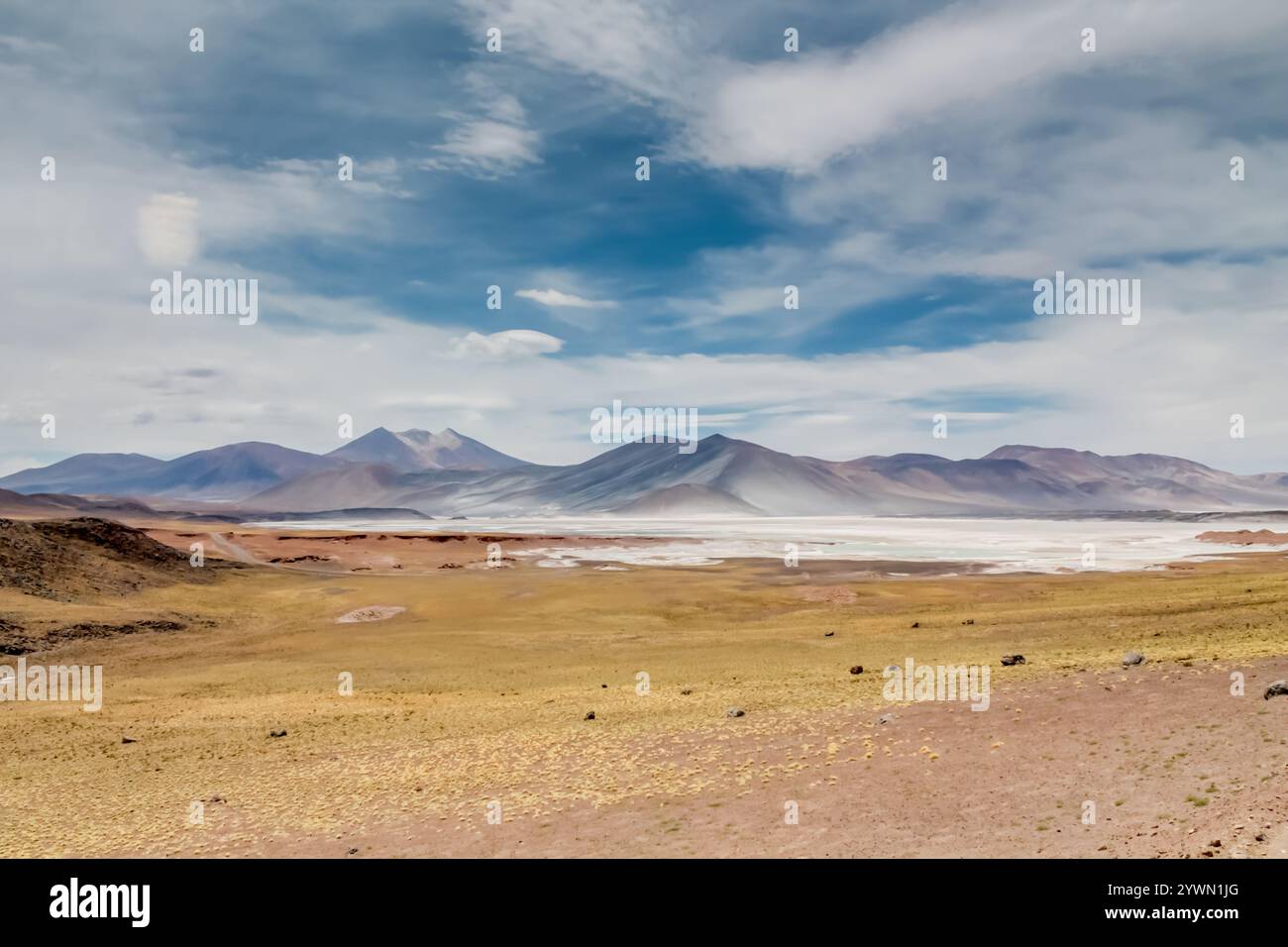 Salt flats and volcano mountains on altiplano high altitude plains in ...