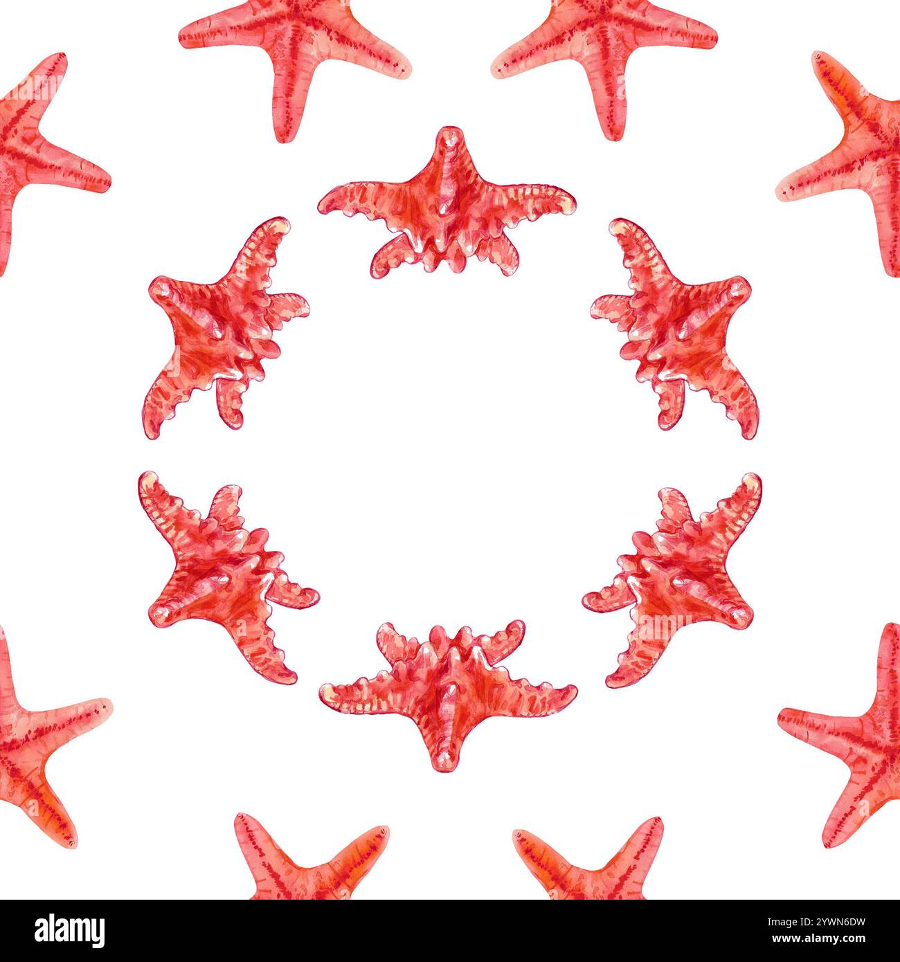 Pattern of starfish in a circle creatures underwater world in ...
