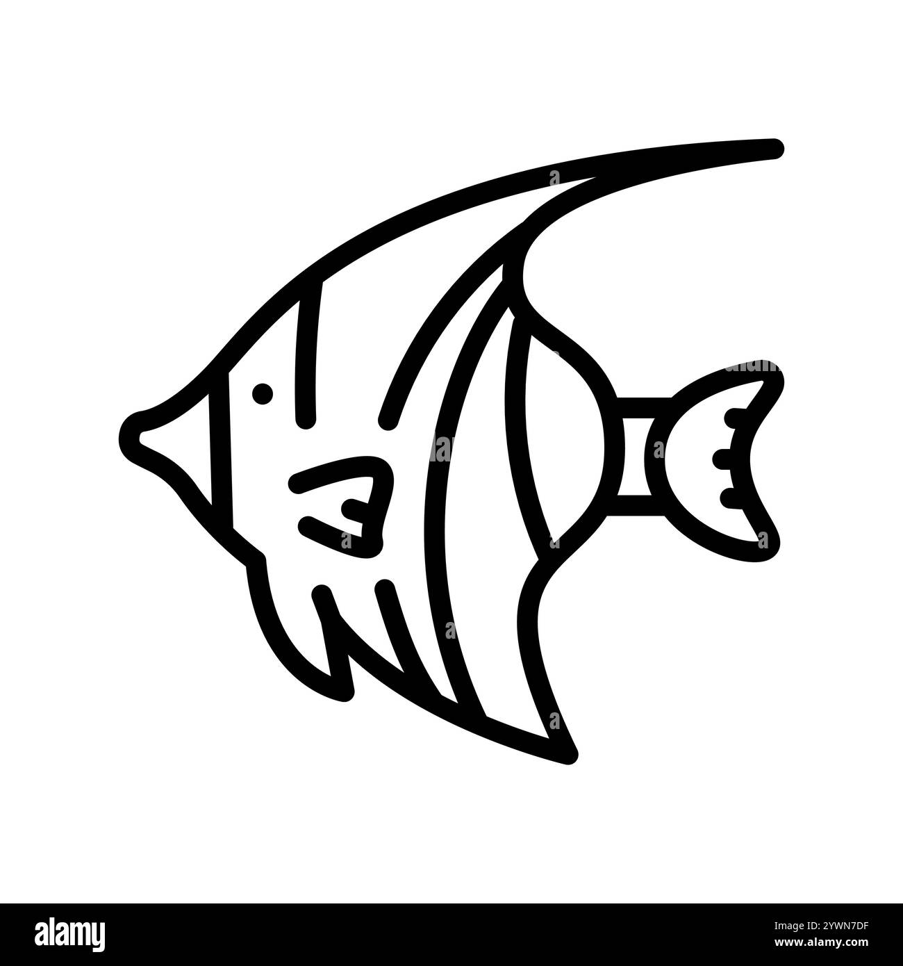 Angelfish Black And White Drawing