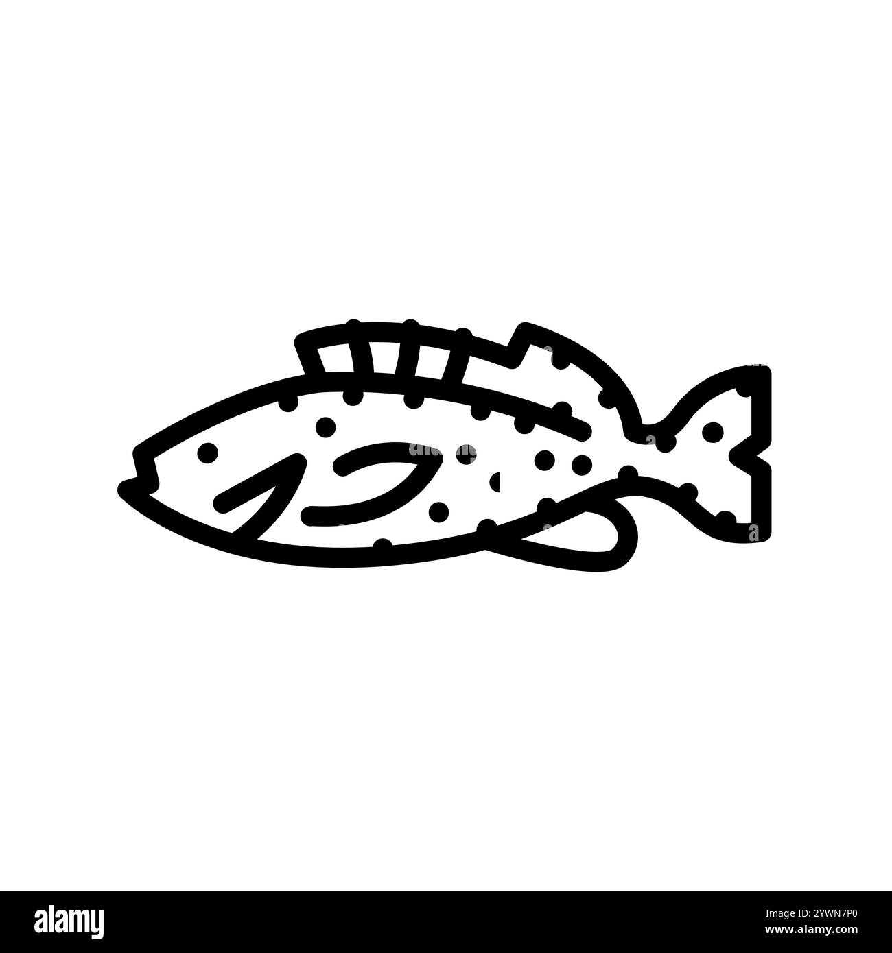 Spotted grouper color line icon.Tropical fish. Editable stroke Stock ...