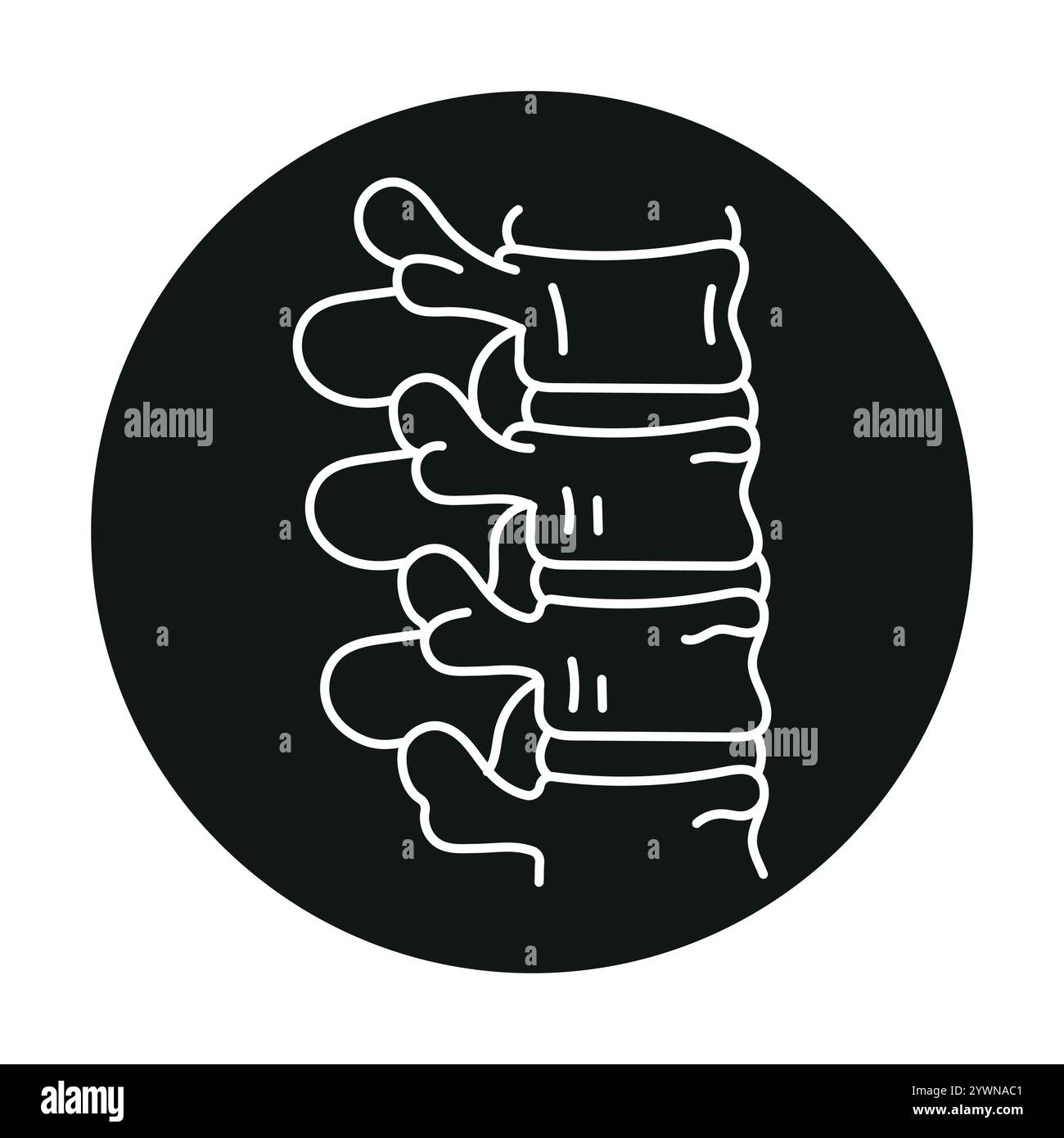 Spine healthy color line icon. Diseases of the spine. Vertebrology ...