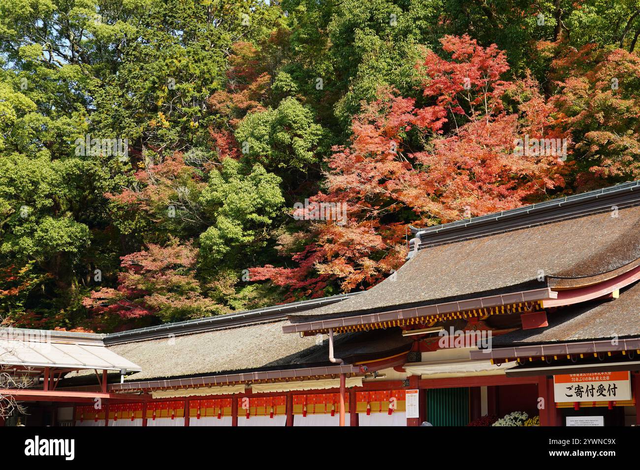 Fukuoka, Japan – November 15, 2022 : Dazaifu Tenmangu Shrine, which is ...